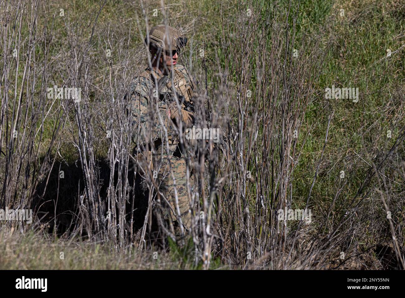 U.S. Marine Cpl. Nathaniel Grader, a team leader with 2nd Battalion ...