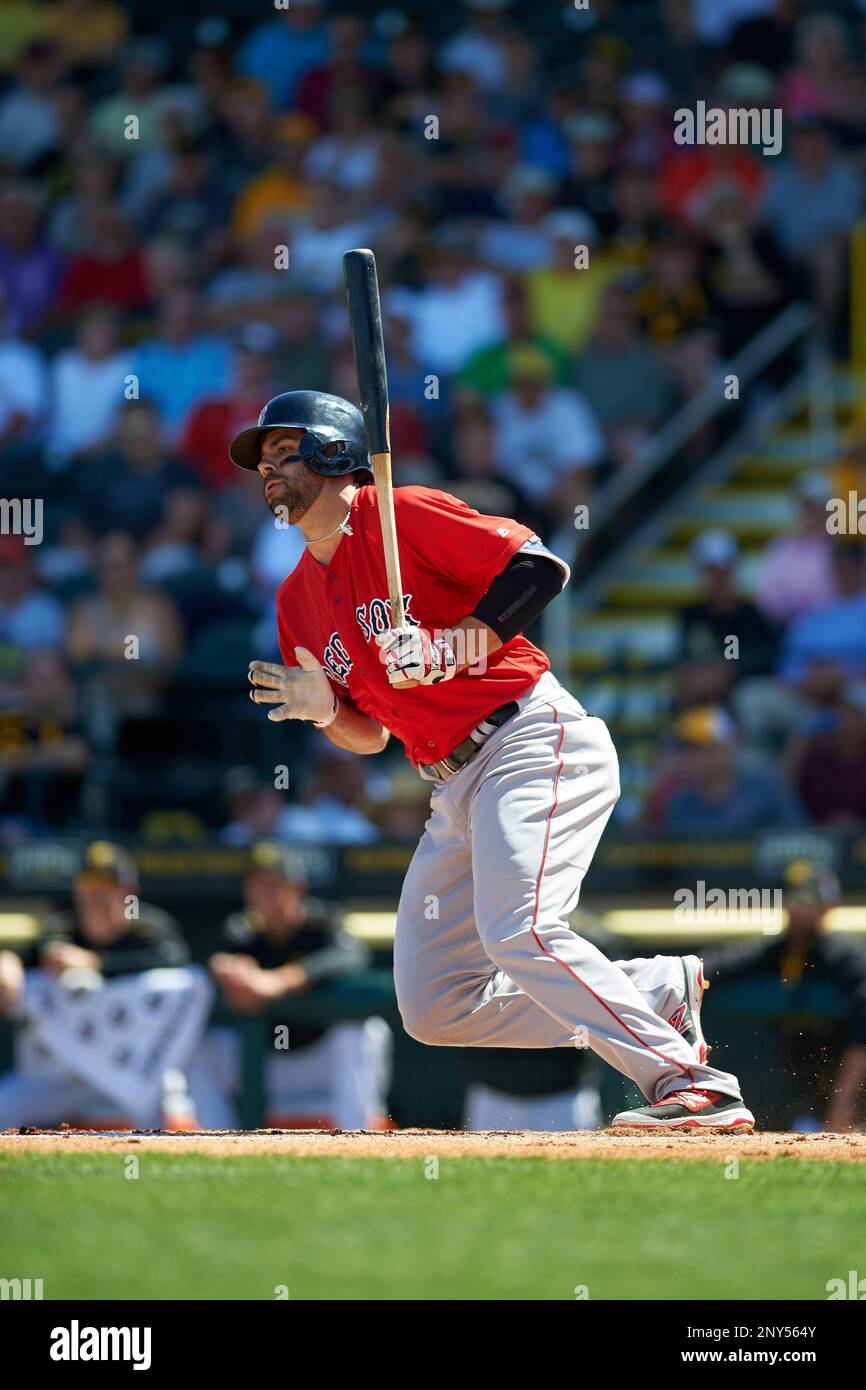 Boston Red Sox center fielder Ryan LaMarre (65) at bat during a Spring ...