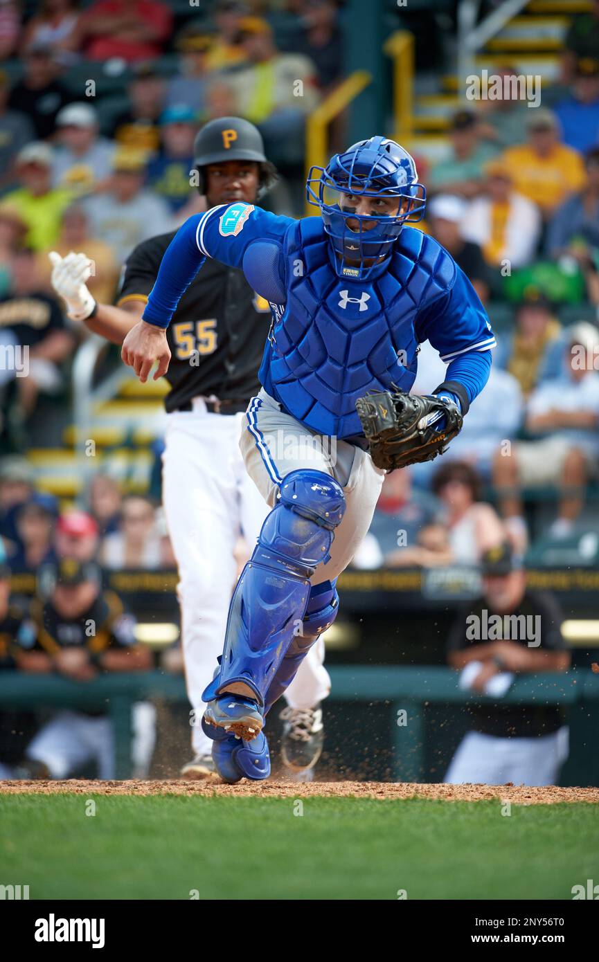 Toronto Blue Jays catcher A.J. Jimenez (8) checks the runner while ...
