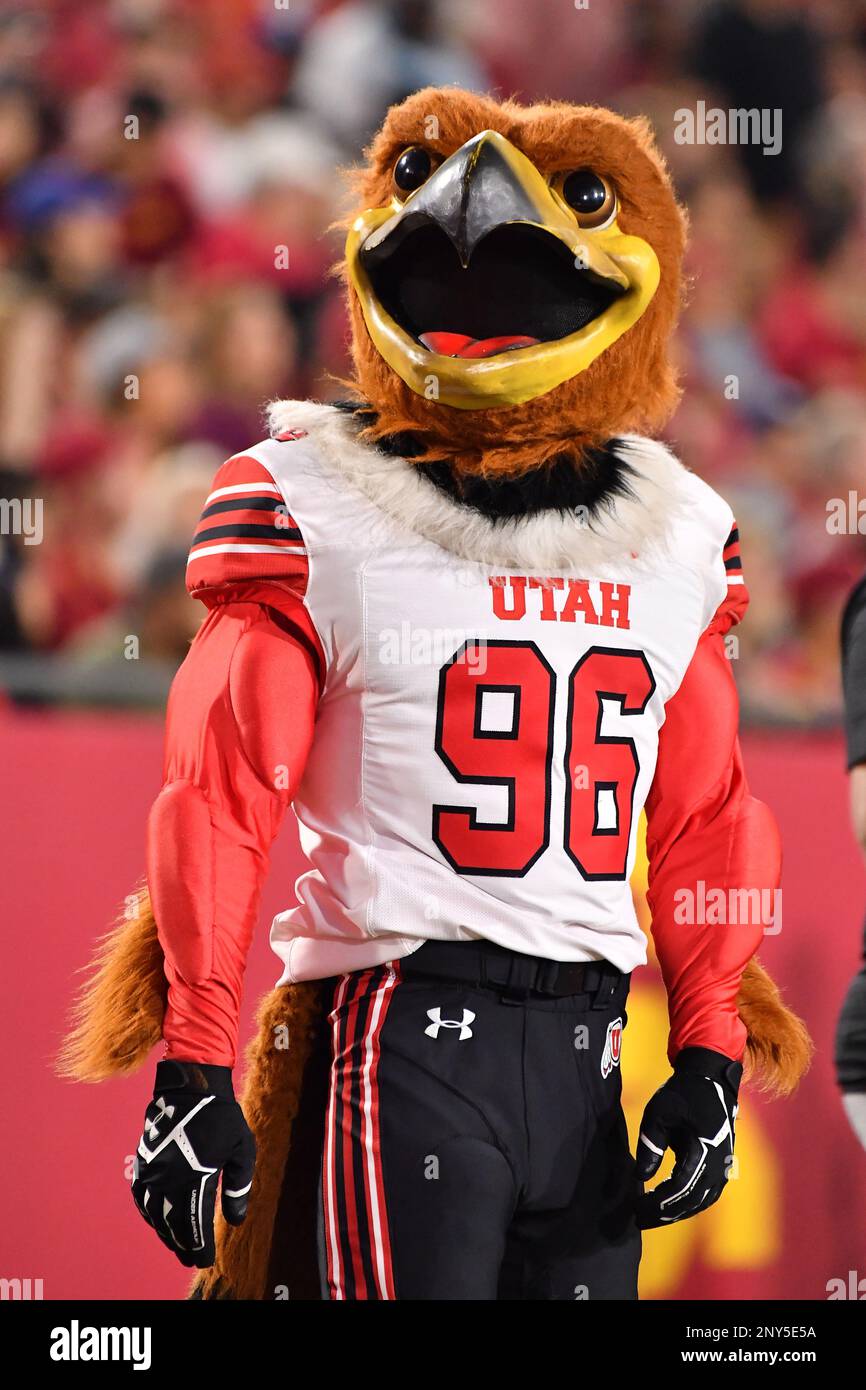 October 14, 2017 Los Angeles, CA.Utah Utes Mascot Swoop during the ...
