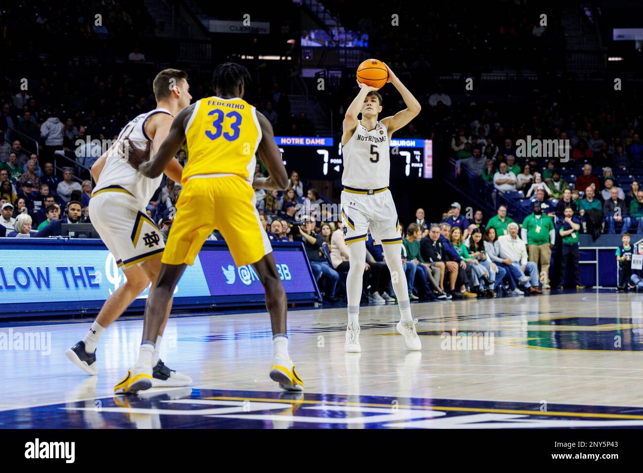 Ryan purcell hi-res stock photography and images - Alamy