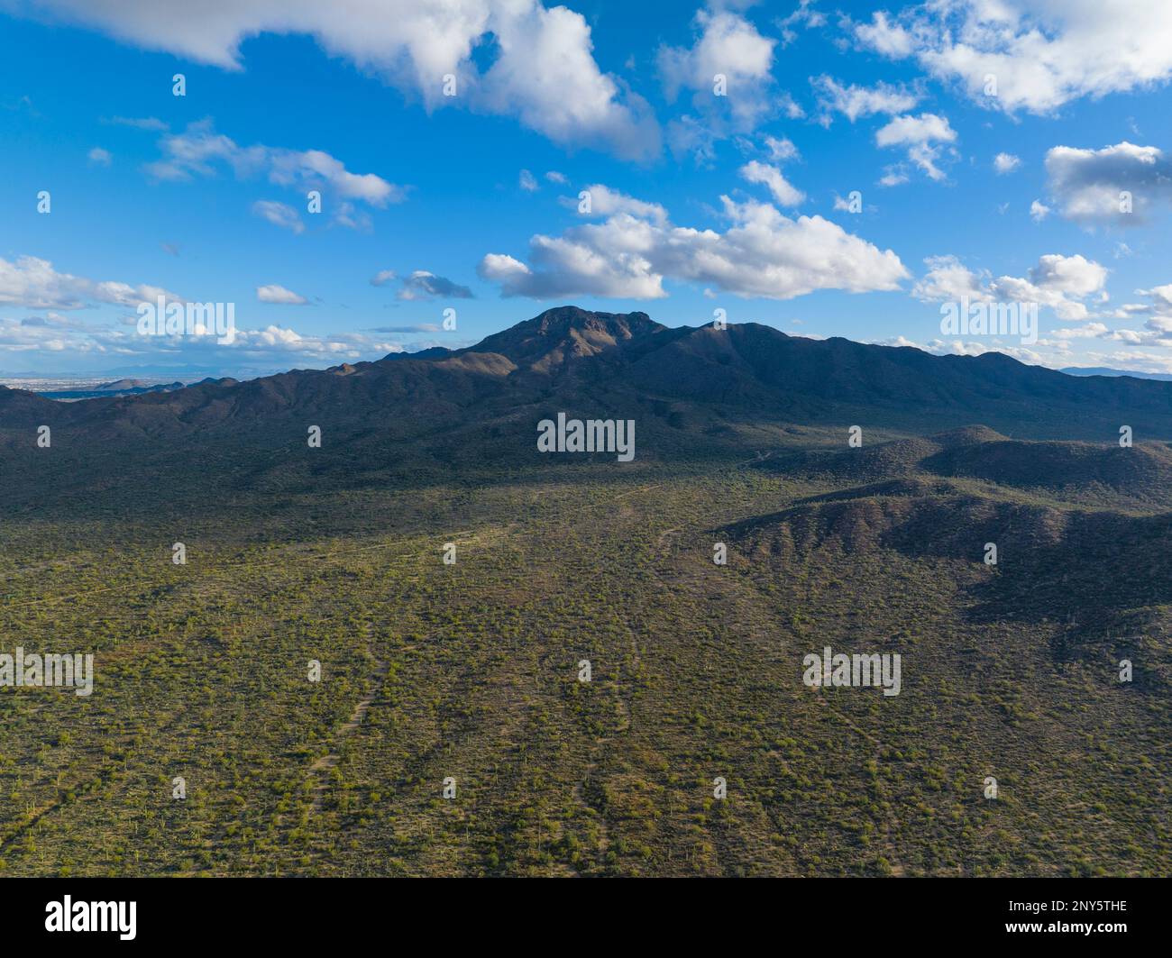 Saguaro national park wasson peak hi-res stock photography and images ...