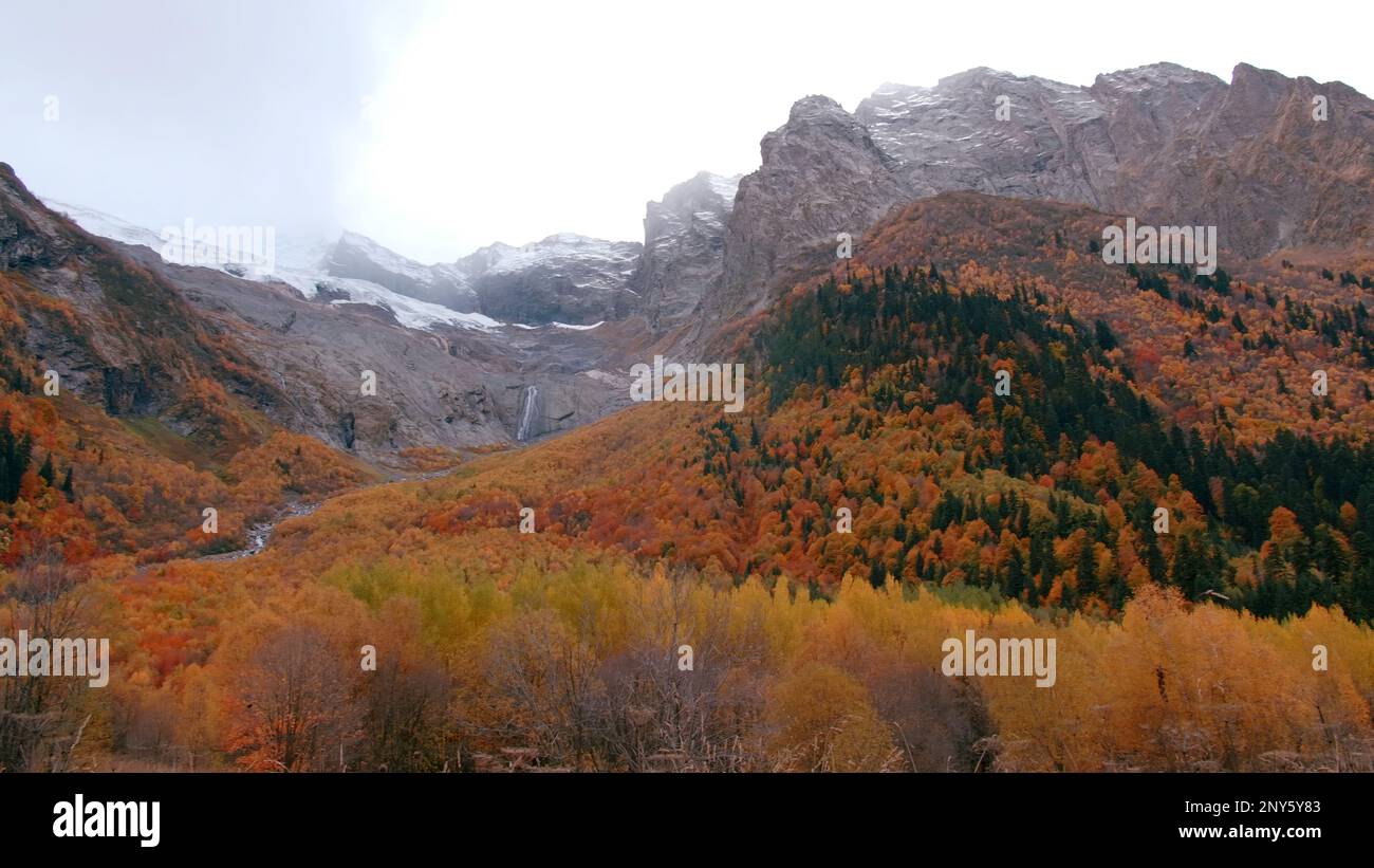 Colorful green forests. Action. View of the picturesque landscape with ...