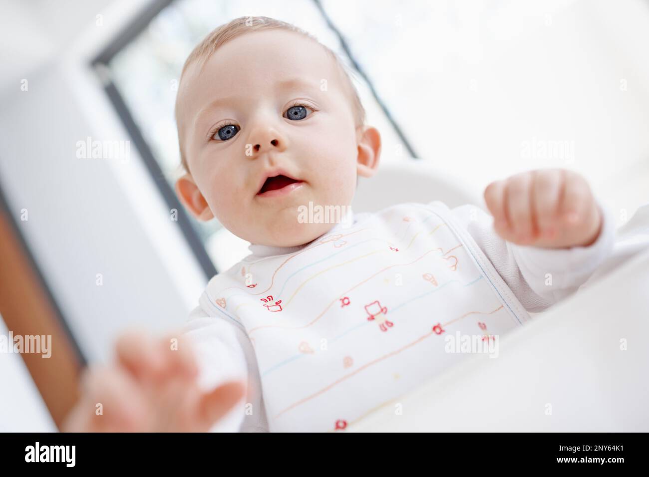 Can I touch. Low angle view of a cute baby boy trying to touch the ...