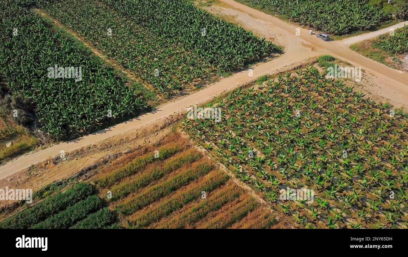 Top view of green beautiful fields of agricultural farmers. Clip. Neat ...