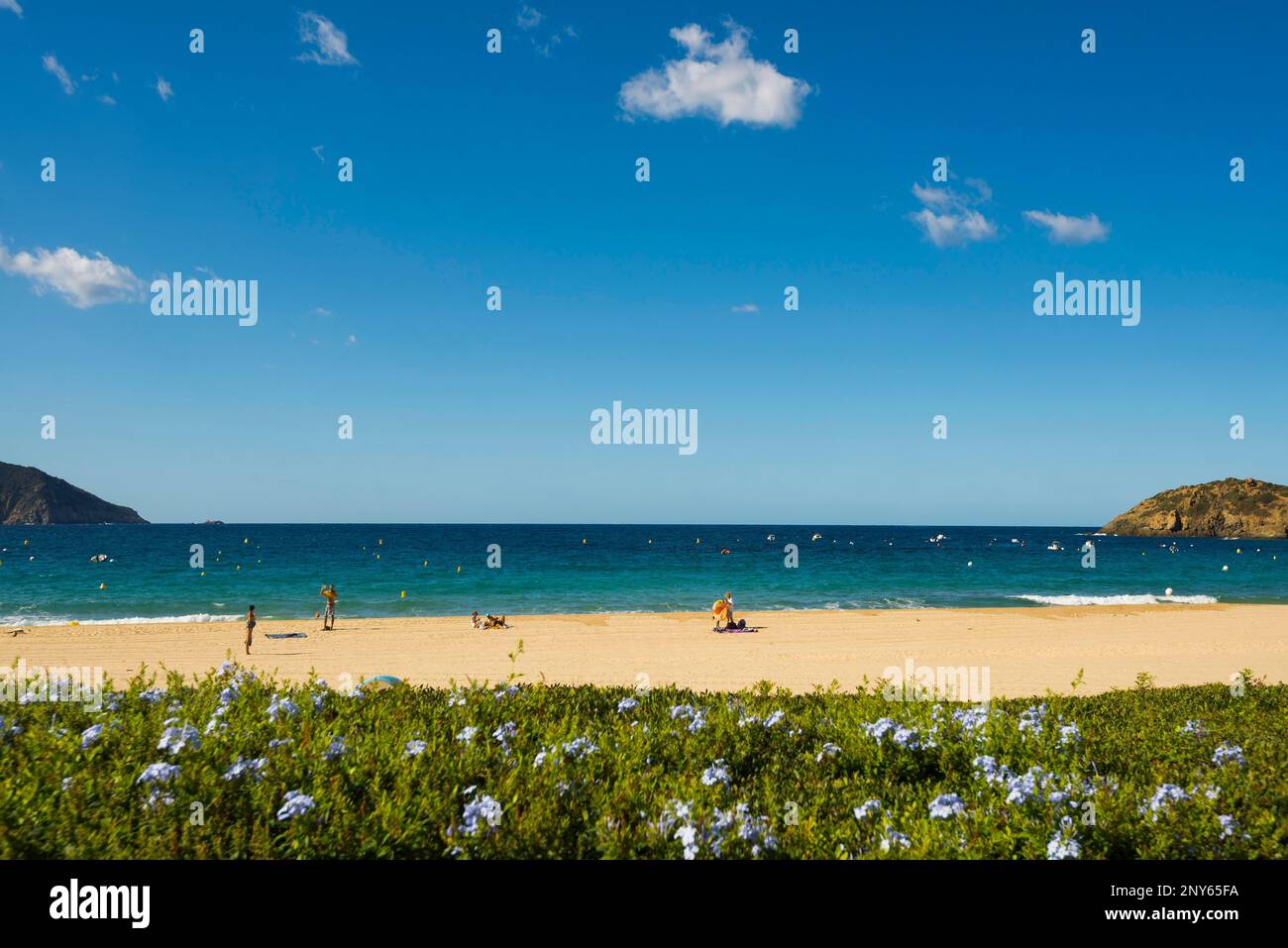 Sandy beach beach, Plage dArone, Piana, Departement Haute-Corse, West ...
