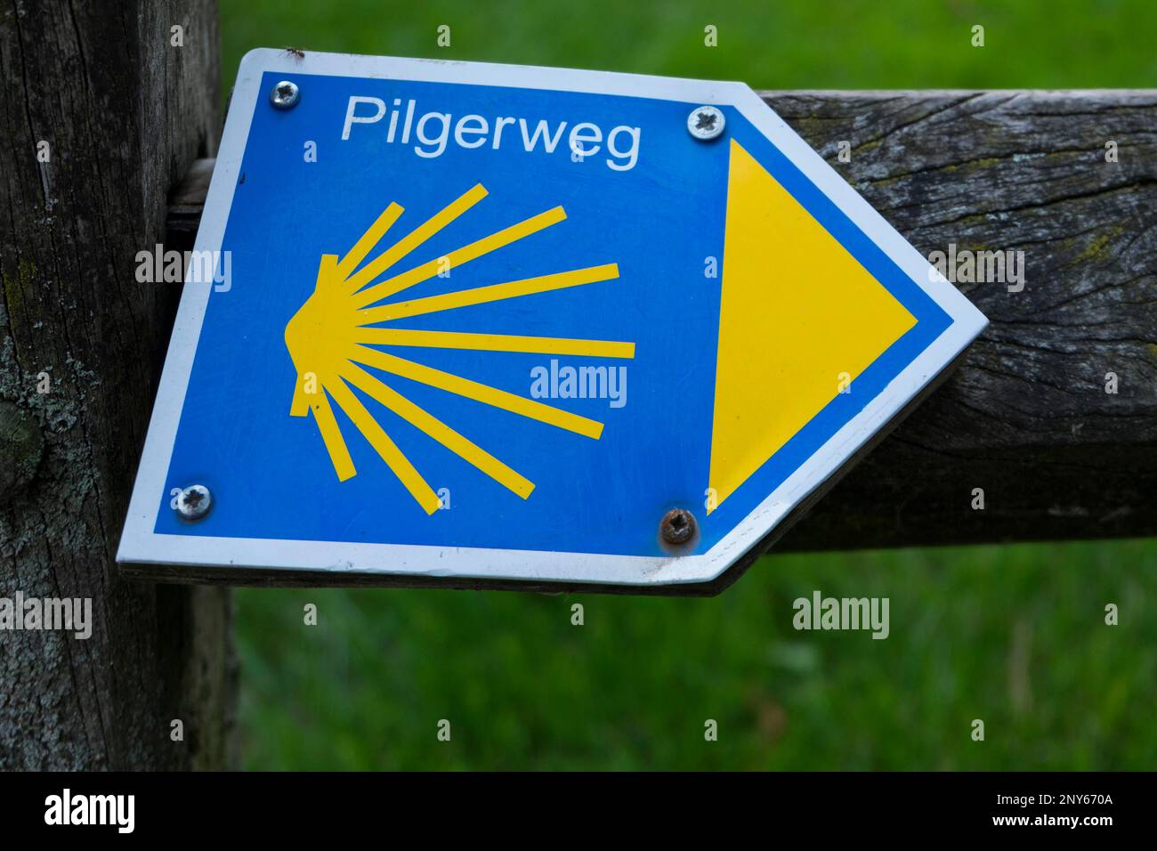 Scallop shell as a sign for the pilgrimage route, Way of St. James to ...