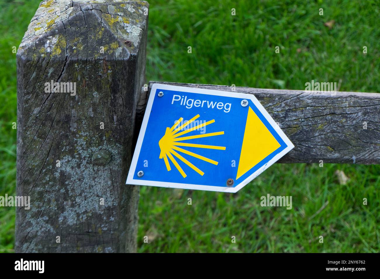 Scallop shell as a sign for the pilgrimage route, Way of St. James to ...