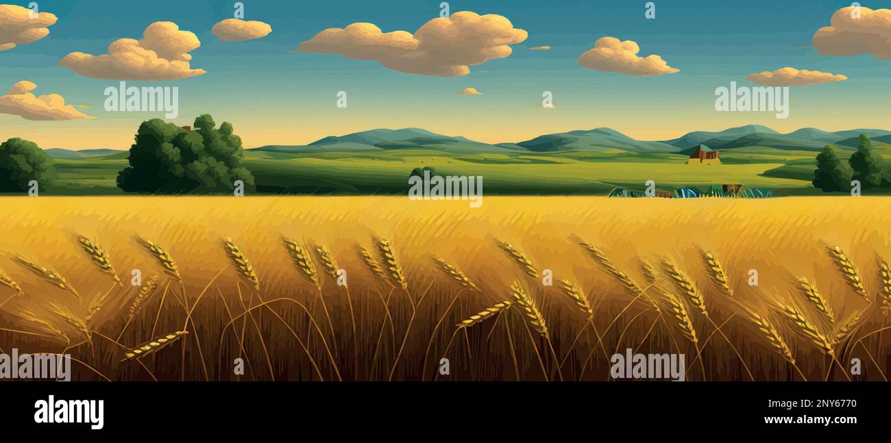 Large wheat thorns on a field on a beautiful nature and landscape in the sun. Extended rich ...