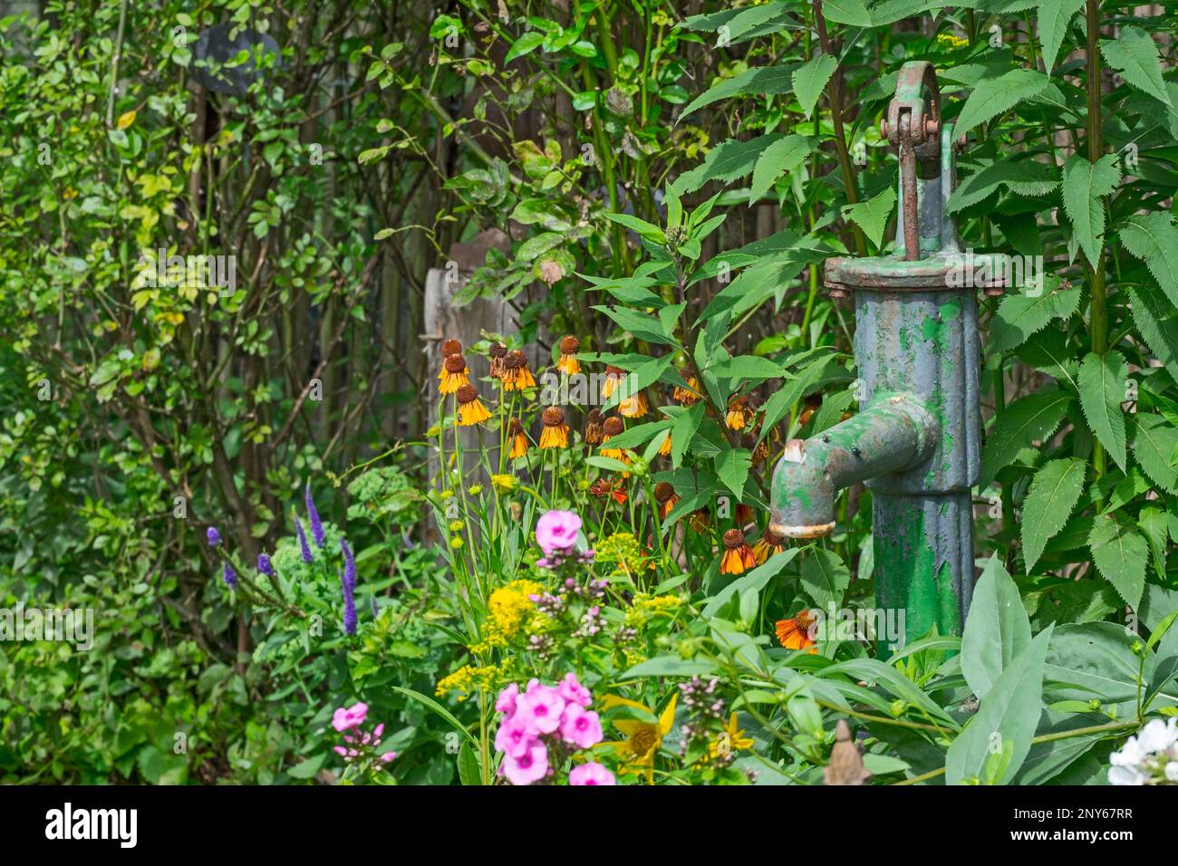 Swan pump in the flower bed Stock Photo - Alamy
