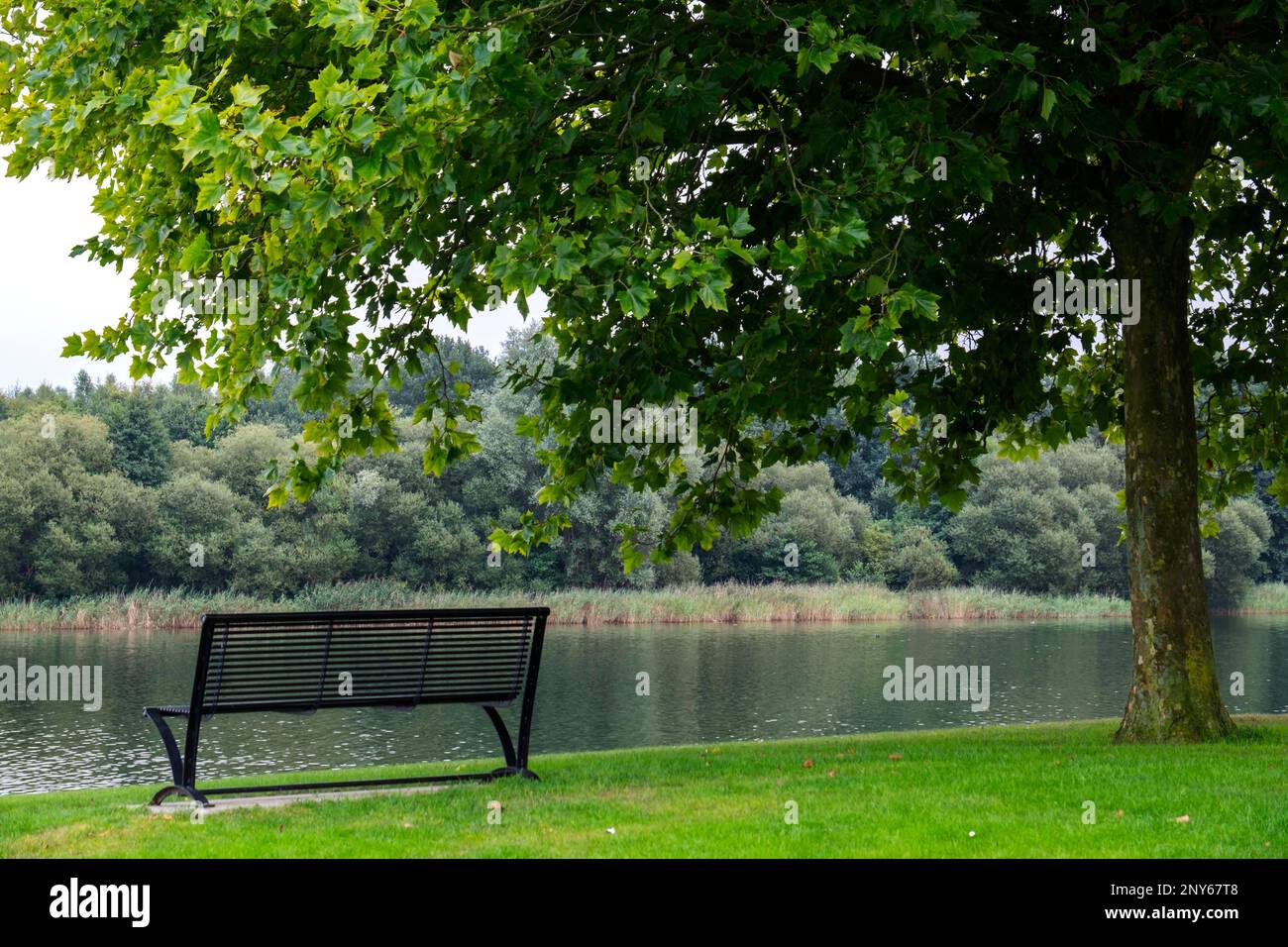 Recreation area Het Rutbeek Stock Photo - Alamy