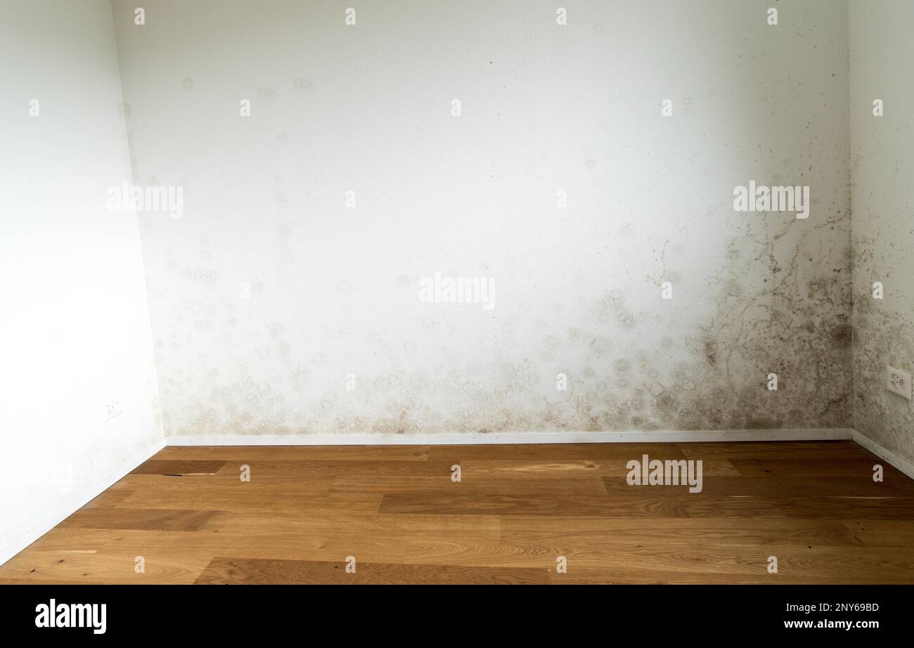 Empty exterior hi-res stock photography and images - Alamy