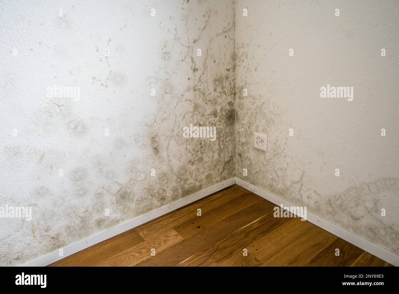 Empty exterior hi-res stock photography and images - Alamy