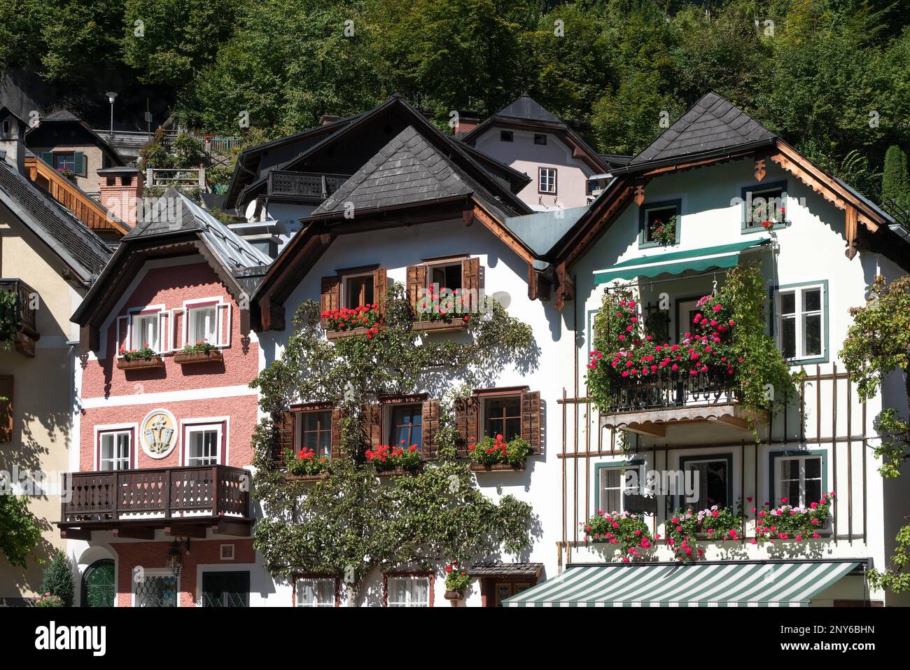 Colourful Red Geraniums on Houses in Hallstatt Stock Photo - Alamy