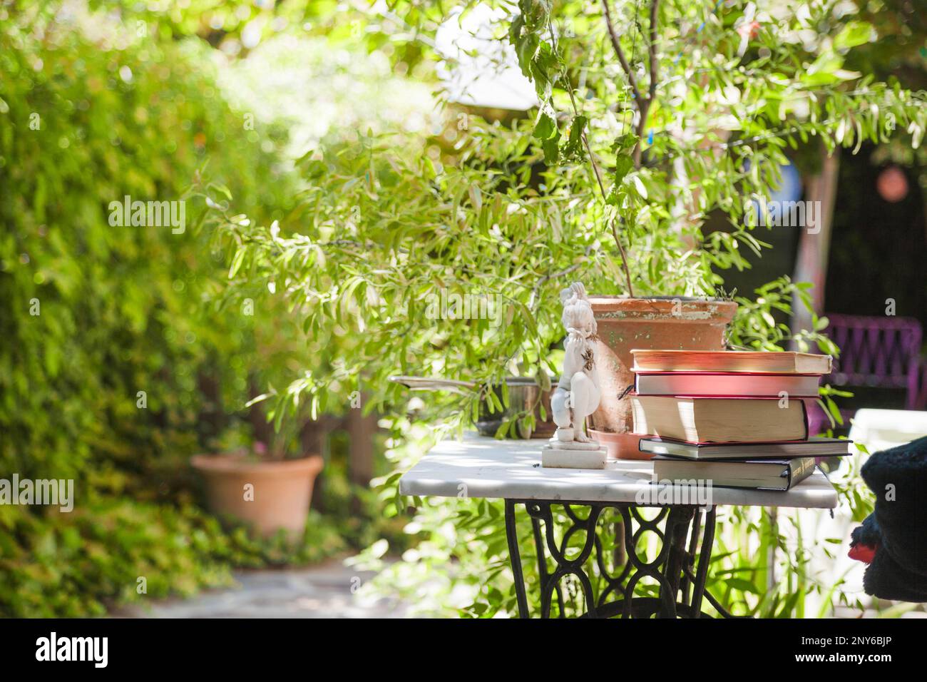 books table backyard. High resolution photo Stock Photo - Alamy