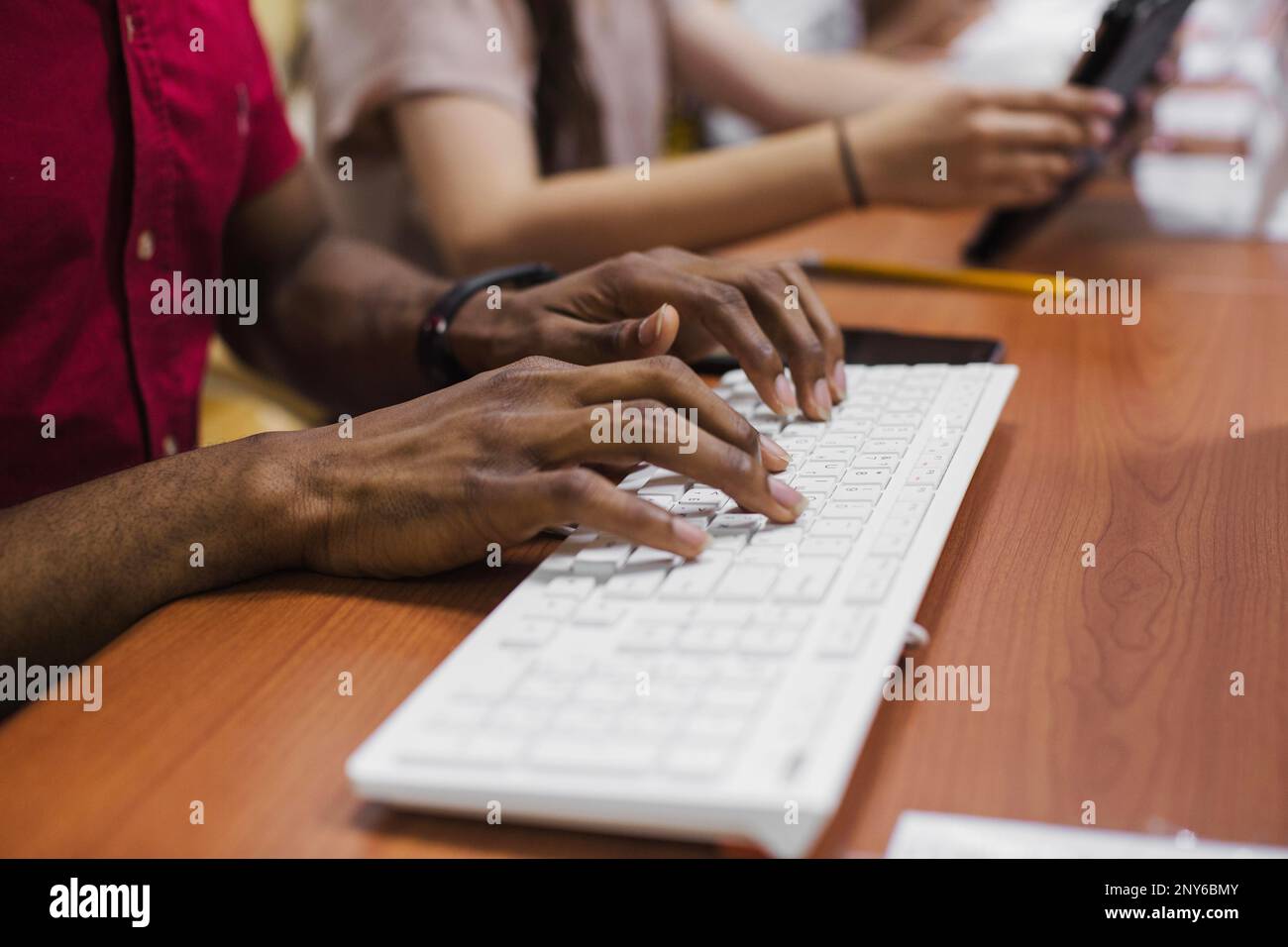 Typing domestic adult hi-res stock photography and images - Alamy