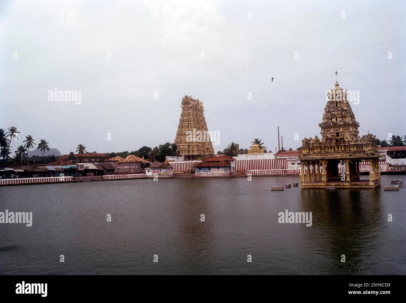 The Thanu Malayan Temple's RajaGopuram and tank at Suchindrum near ...