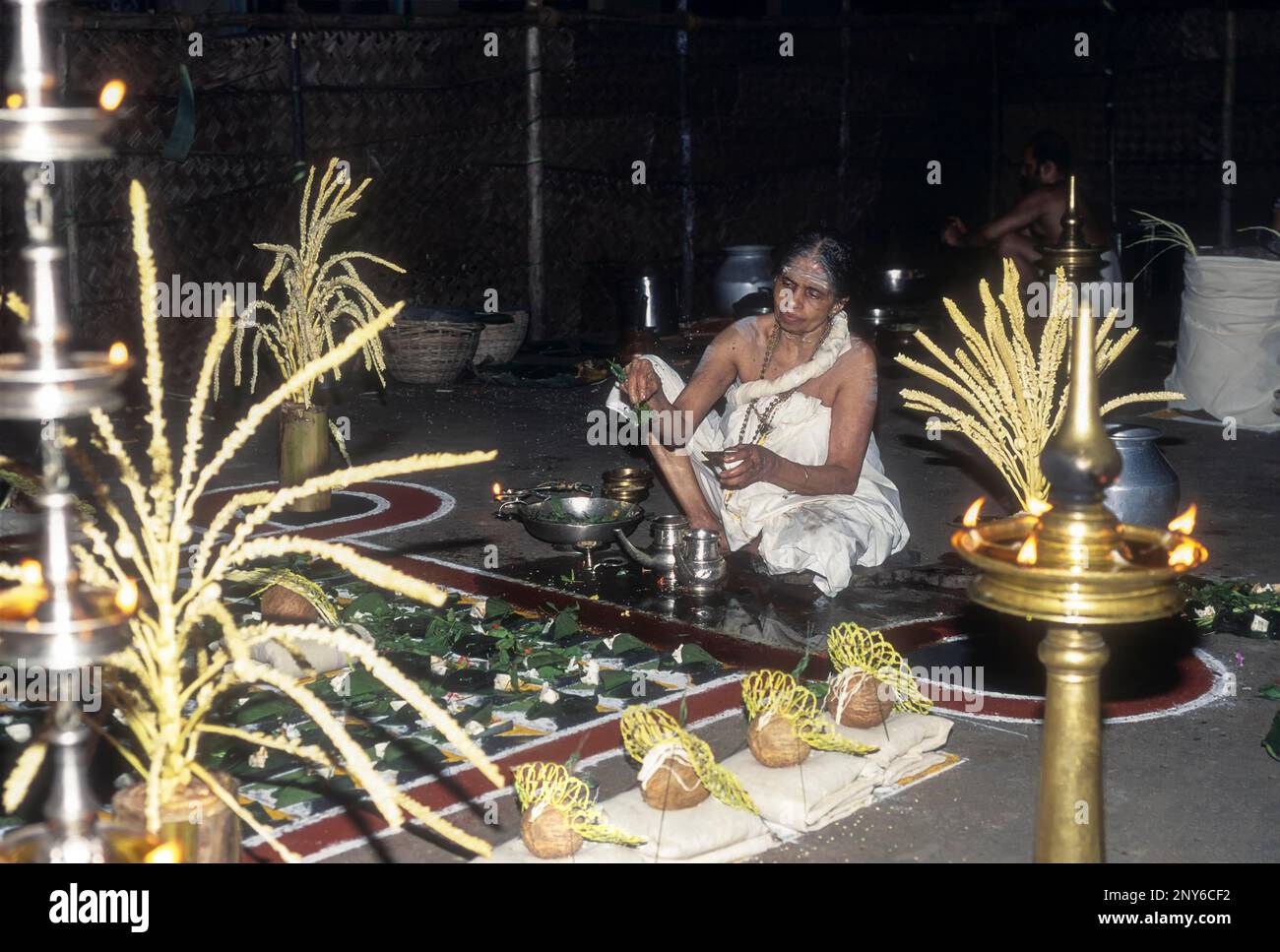 Sarpam kalam in sree Nagaraja Temple in Mannarsala, Kerala, India ...