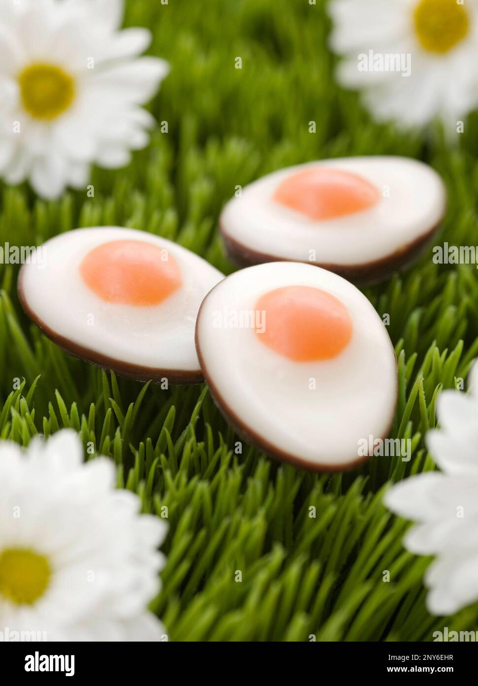 Chocolate eggs in the grass imt flowers Stock Photo - Alamy