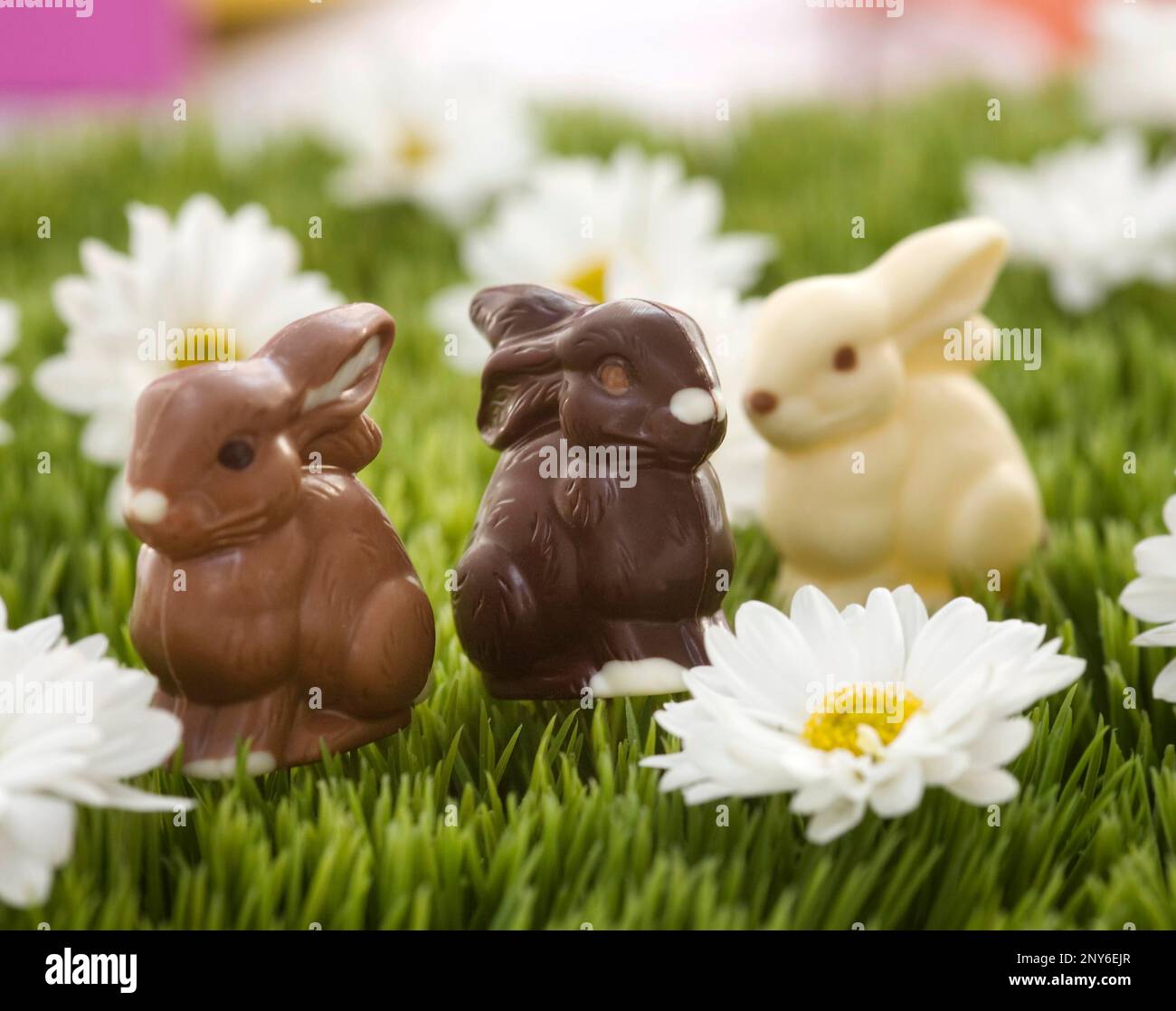 Bunnies in the grass hi-res stock photography and images - Alamy