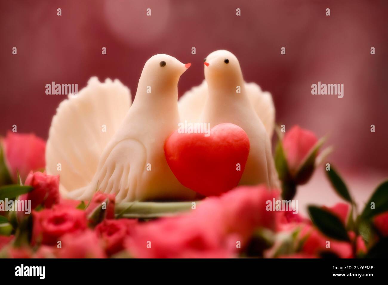 Love Dove Wallpaper