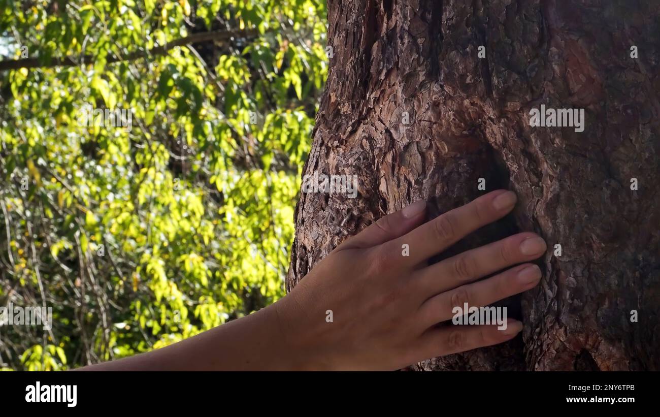 Quality save branch hi-res stock photography and images - Alamy