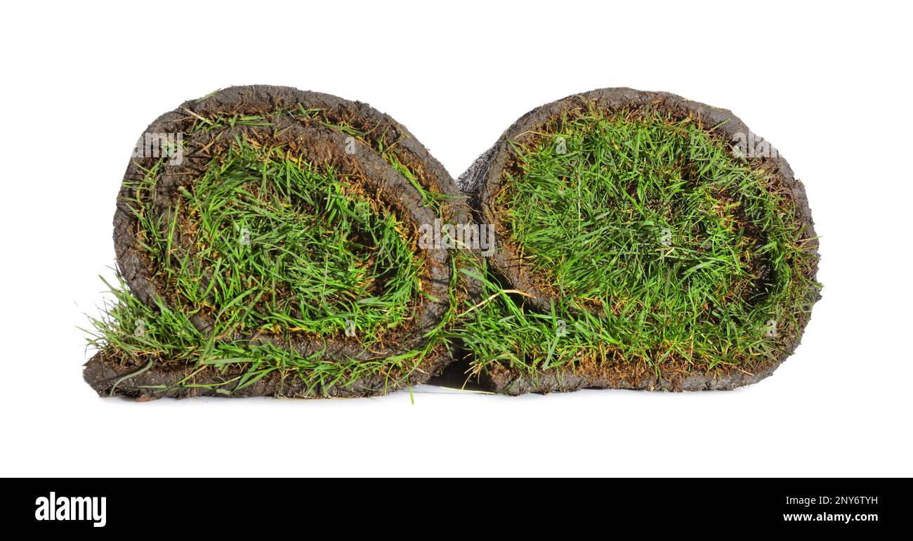 Rolls of grass sod on white background Stock Photo - Alamy