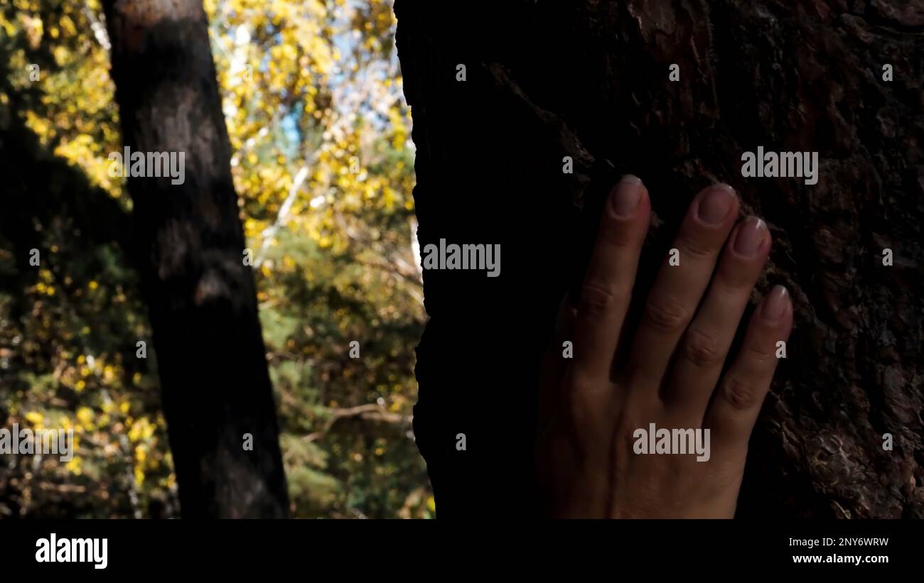 Quality save branch hi-res stock photography and images - Alamy