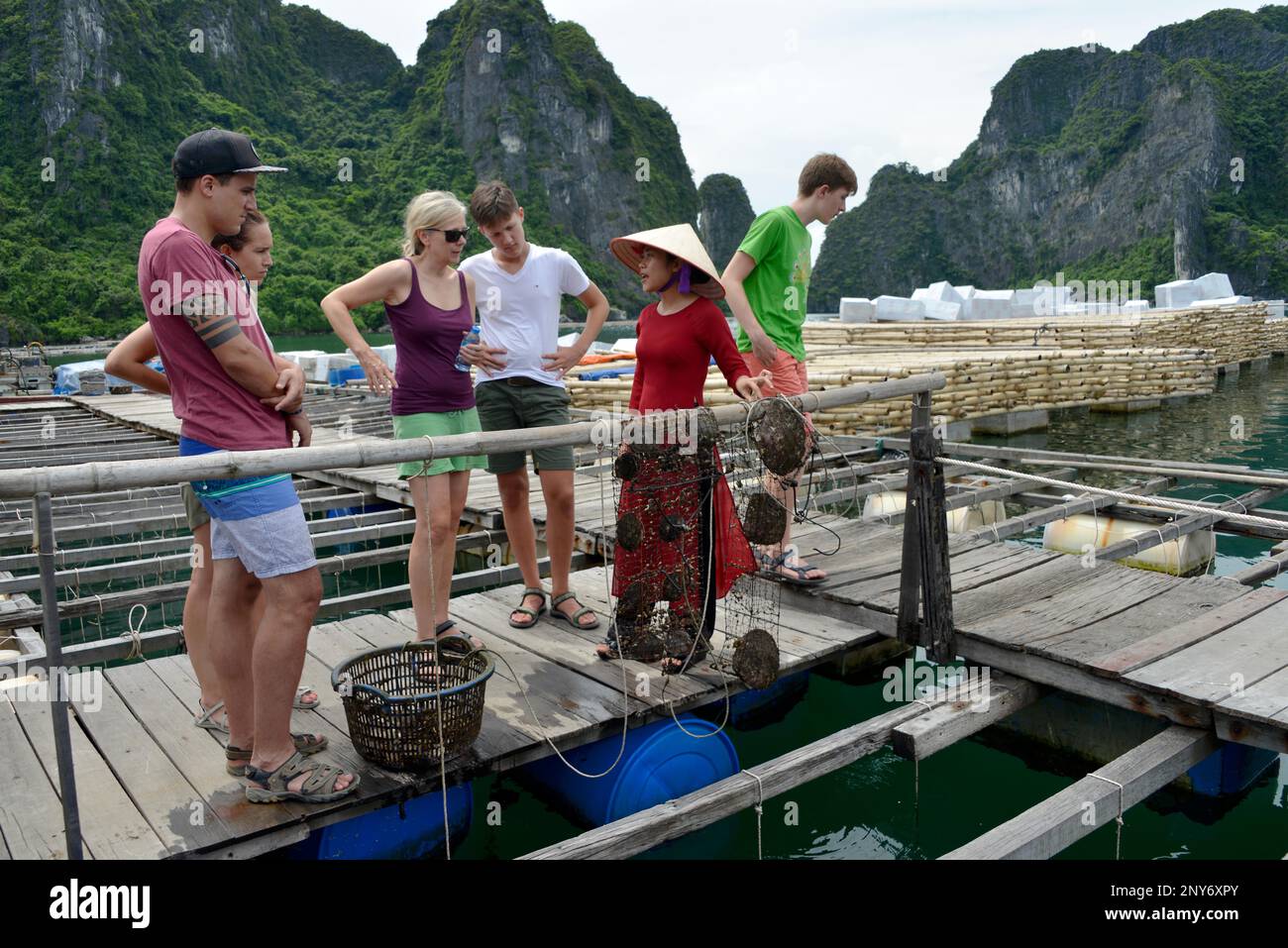 Guided tour, pearl farm, Halong Bay, Vietnam Stock Photo - Alamy