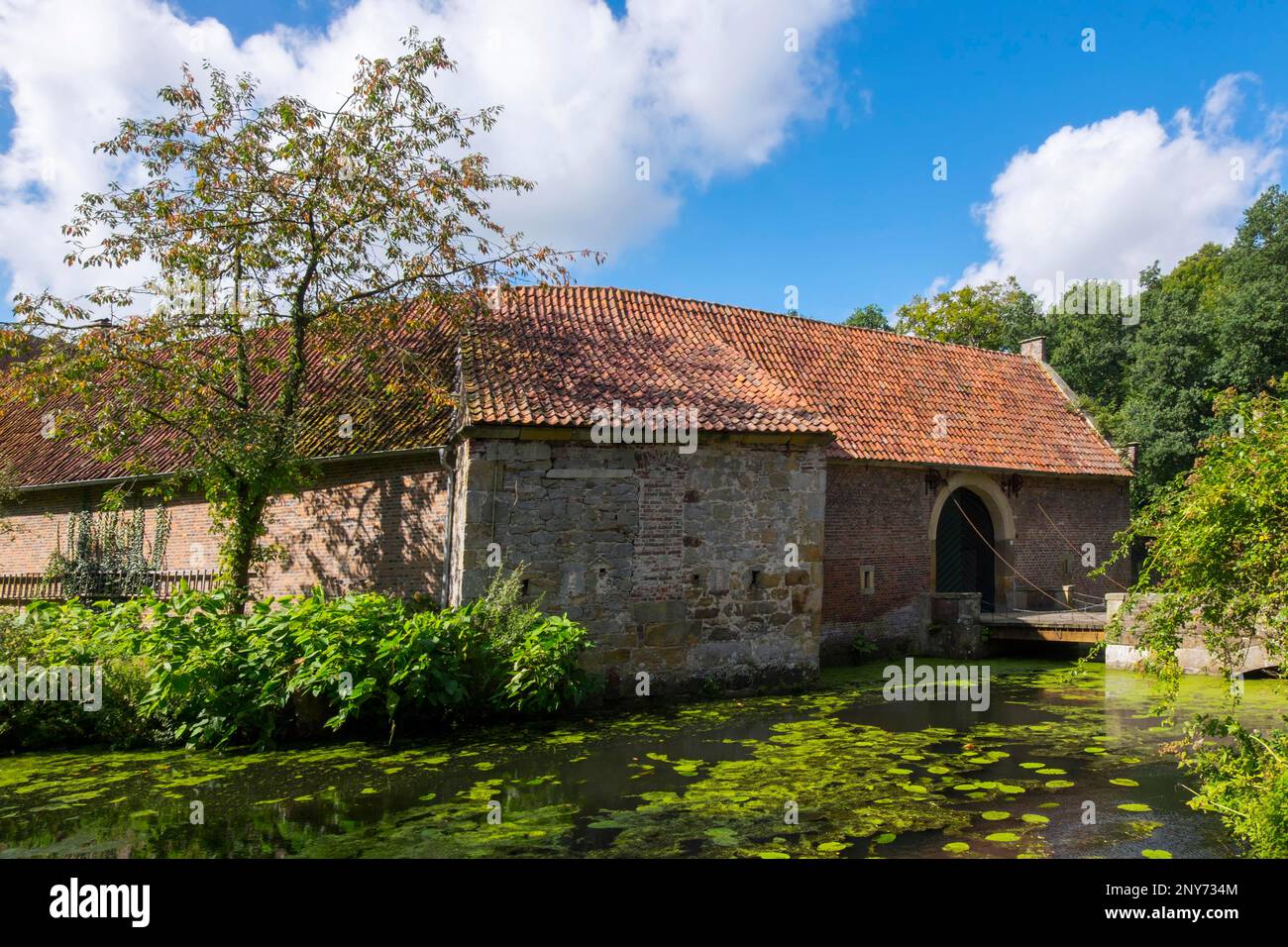 Bailey haus hi-res stock photography and images - Alamy