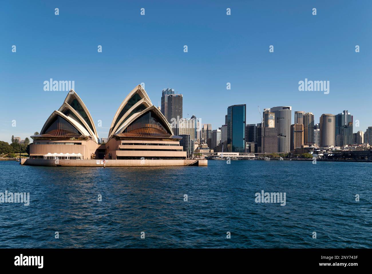 Sydney botanic gardens bridge hi-res stock photography and images - Alamy