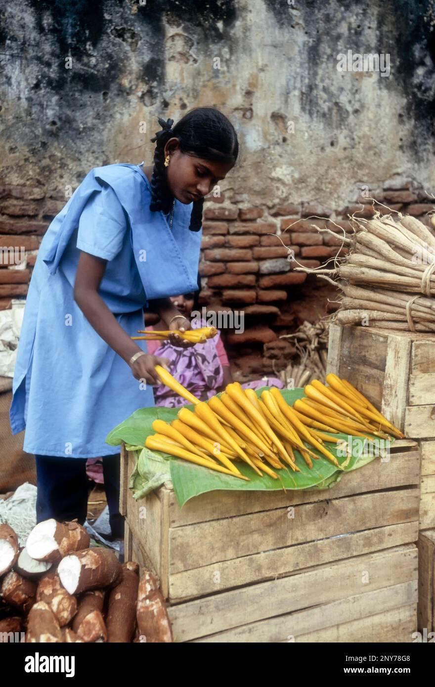 School girl purchasing Palmyra Tuber at Tirunelveli, Tamil Nadu, India ...