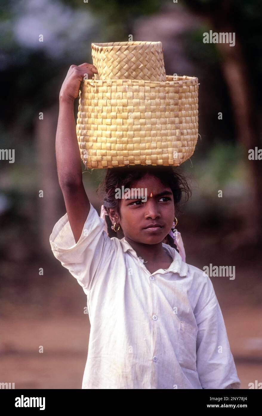 Village girl carrying basket on head, Tamil Nadu, India Stock Photo - Alamy