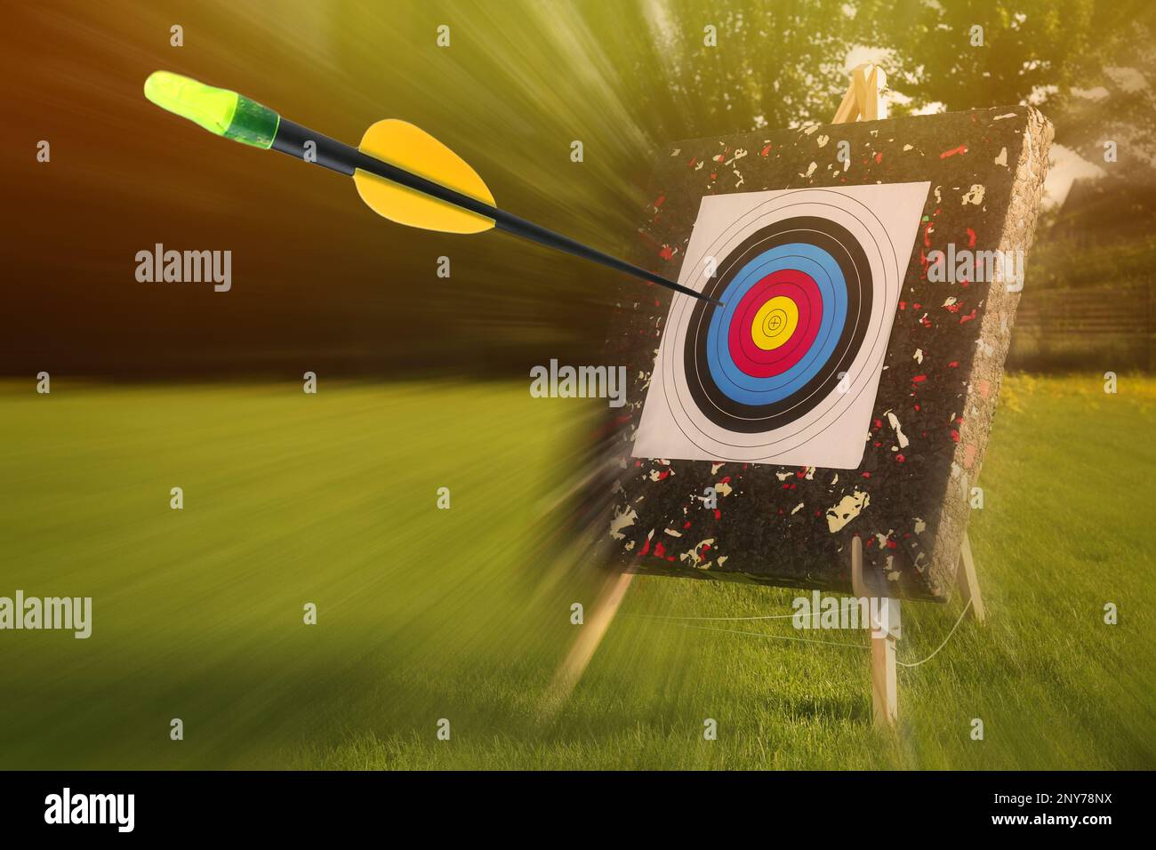 Plastic black arrow flying to archery target in park Stock Photo - Alamy