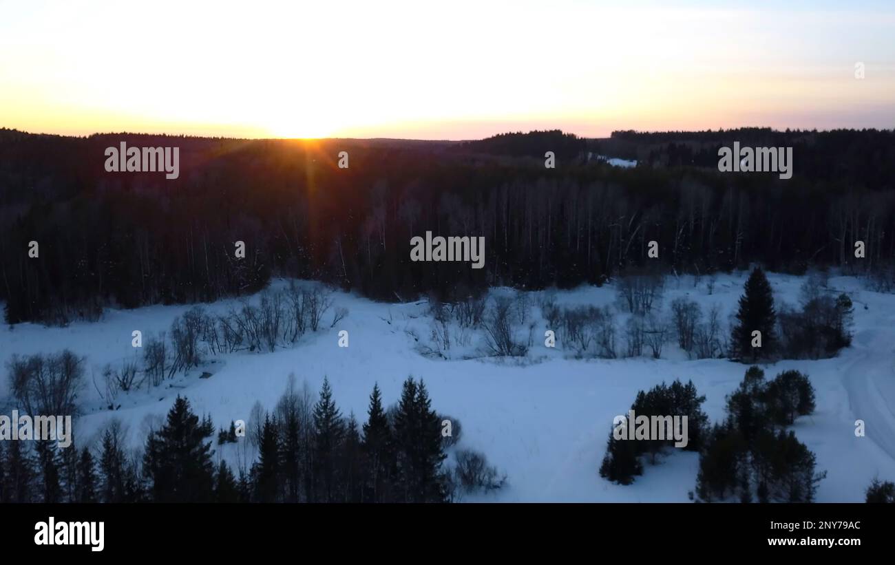 Aerial view of a snowmobile driving along pine tree forest. Clip ...
