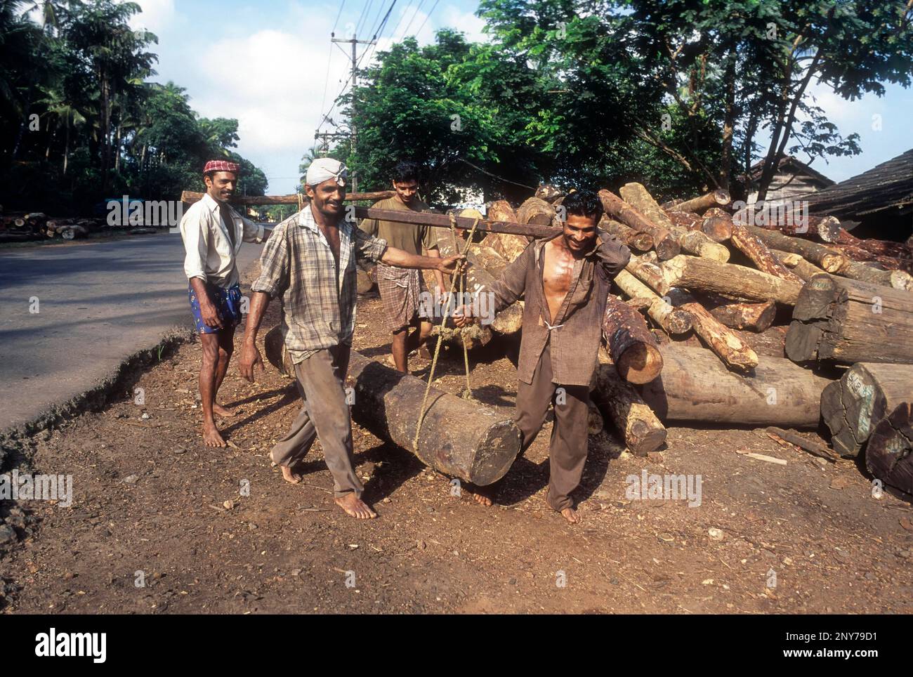Log of wood being transported for sawing at Feroke near Kozhikode ...