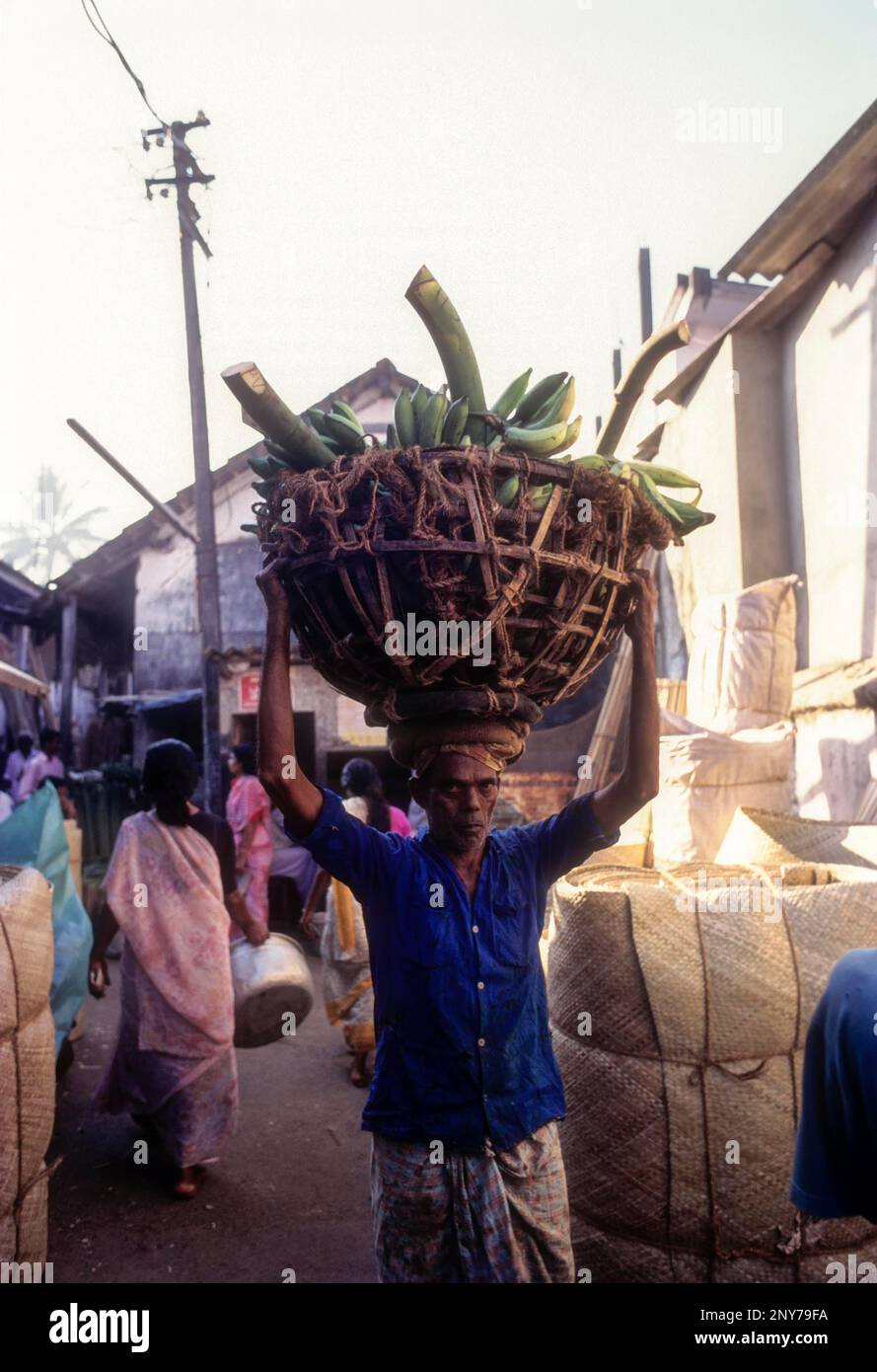 Carrying plantain at Kochi, Cochin, Kerala, India Stock Photo - Alamy