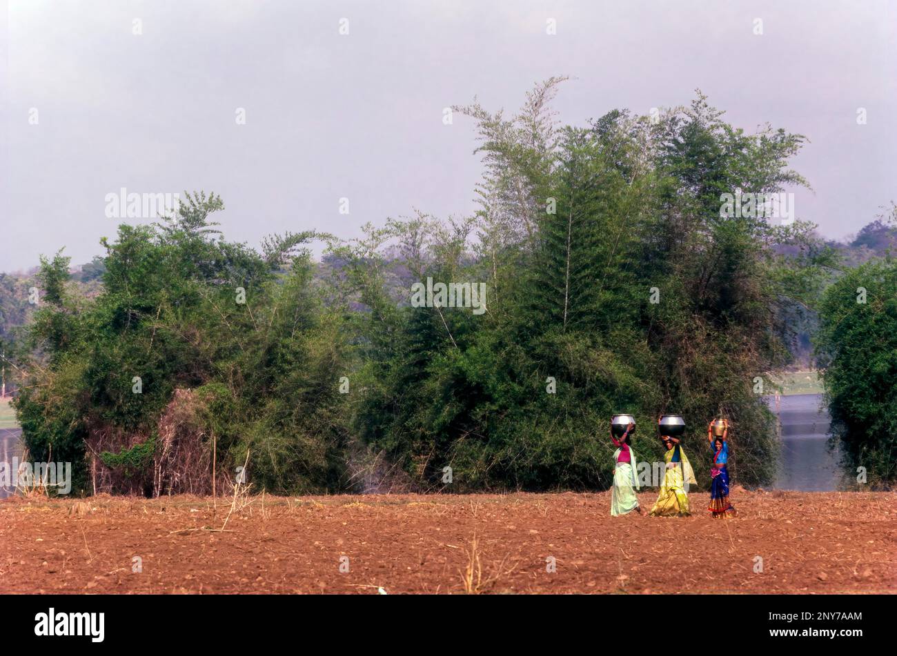 Karnataka tribe hi-res stock photography and images - Alamy