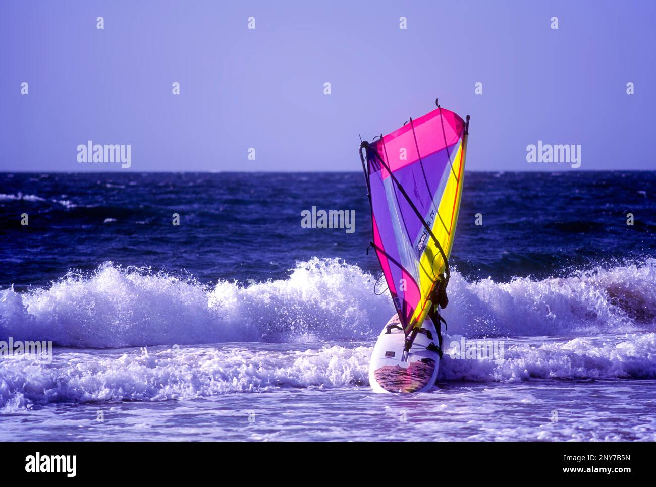 Wind surfing at Goa, India, Asia Stock Photo - Alamy