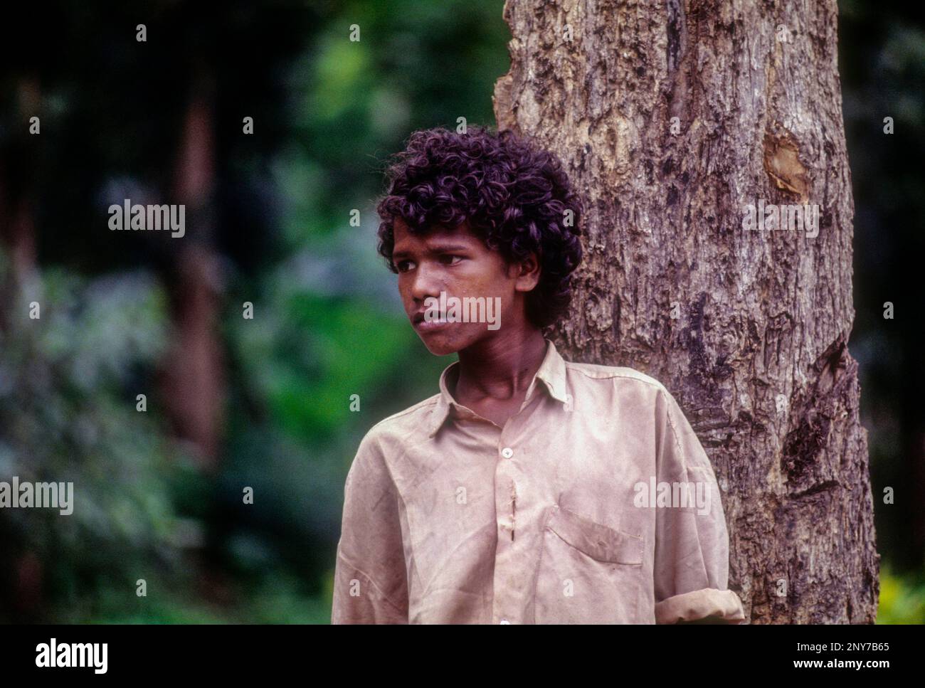 Jenu Kurumba tribal boy at Nagarhole, Karnataka, South India, India ...