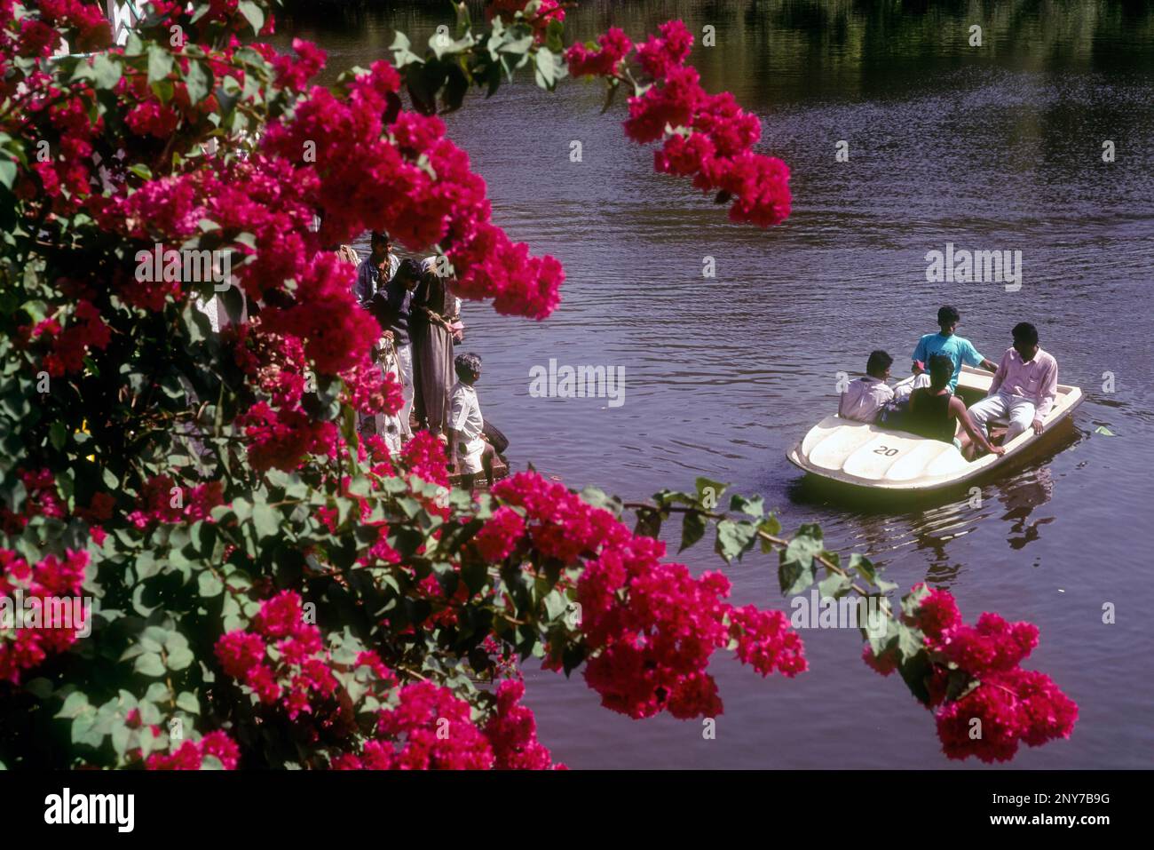 Boating in Mayem lake, Goa an ideal picnic spot, India, Asia Stock ...