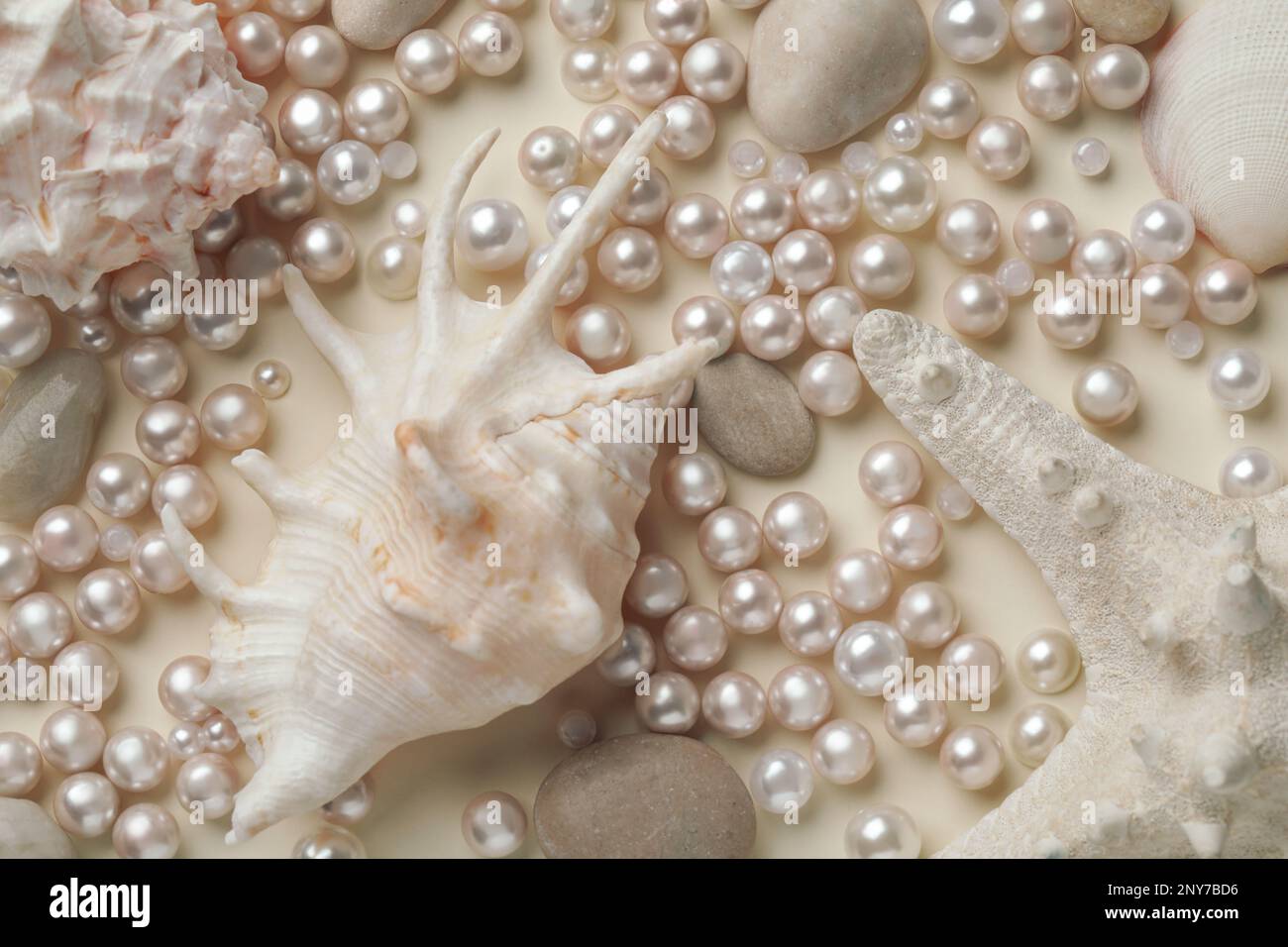 Beautiful sea shells, starfish, pebbles and pearls on beige background ...