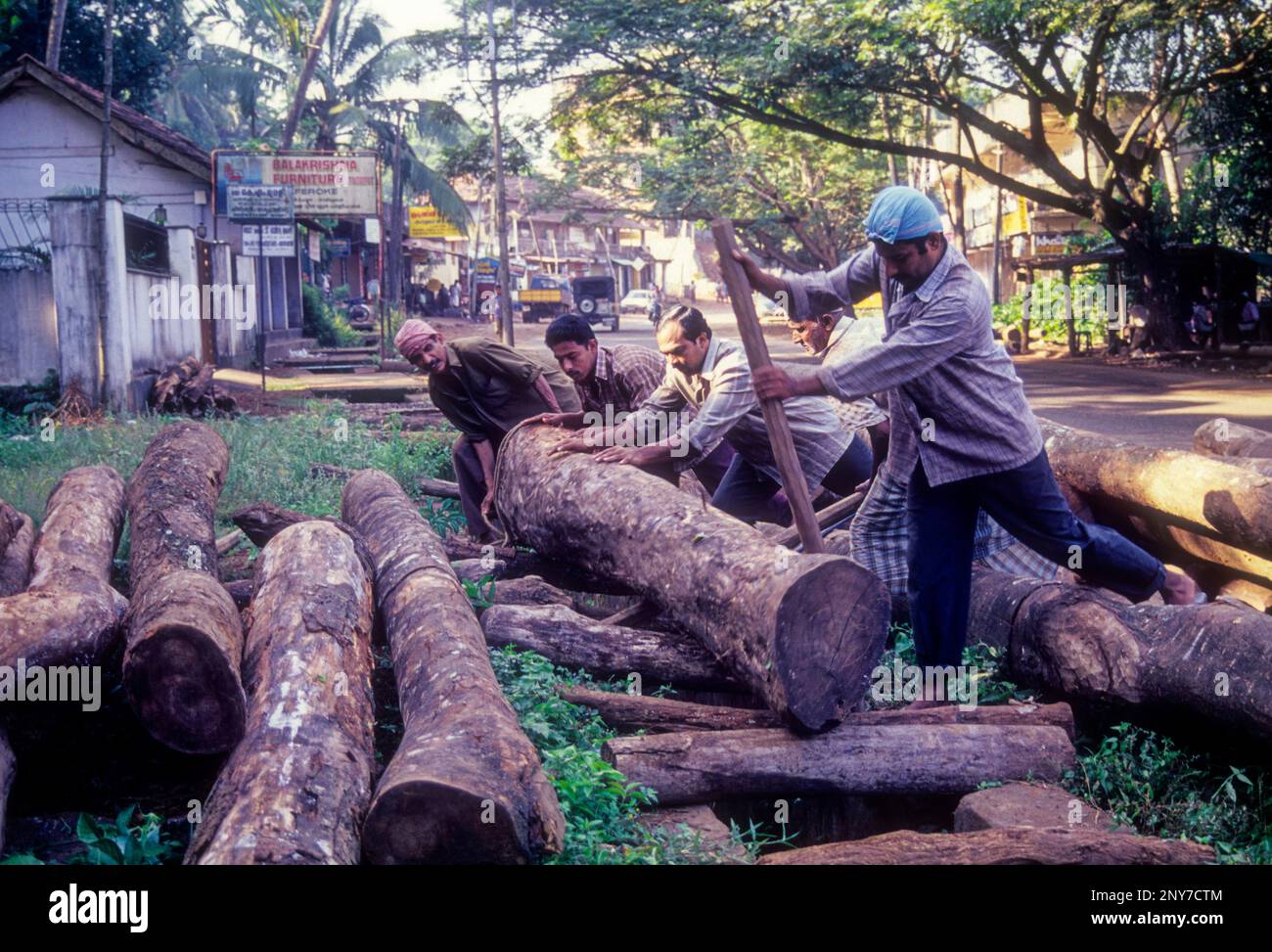 Men shifting wooden log for sawing at Kozhikode Calicut, Kerala, South ...