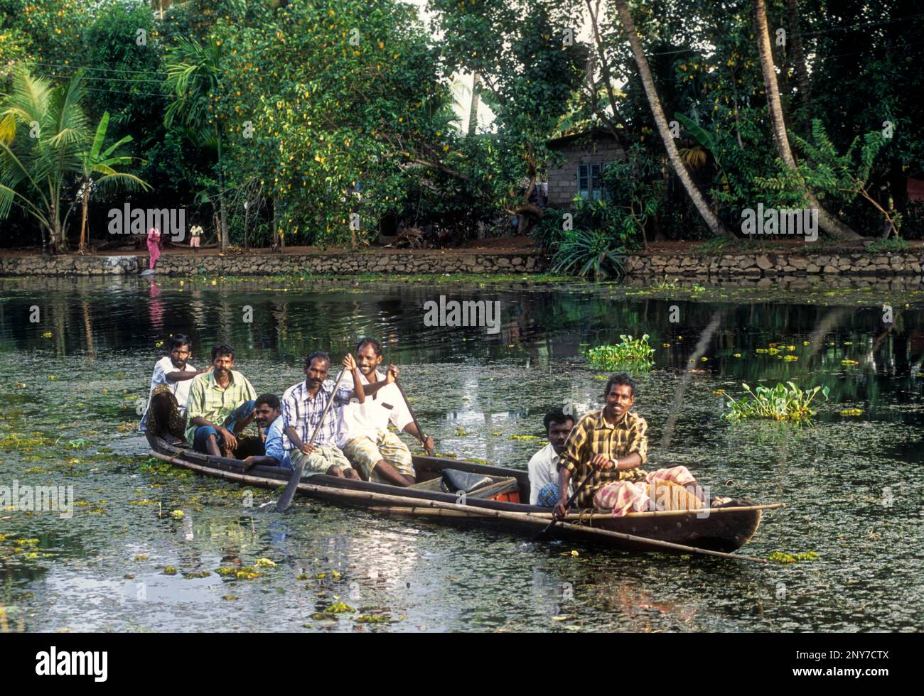 Backwaters of Kerala, South India, India, Asia Stock Photo - Alamy