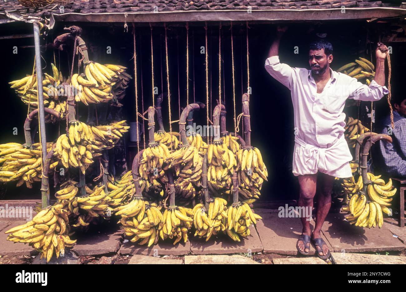 Banana shop at Tirur in Malappuram, Kerala, South India, India, Asia ...