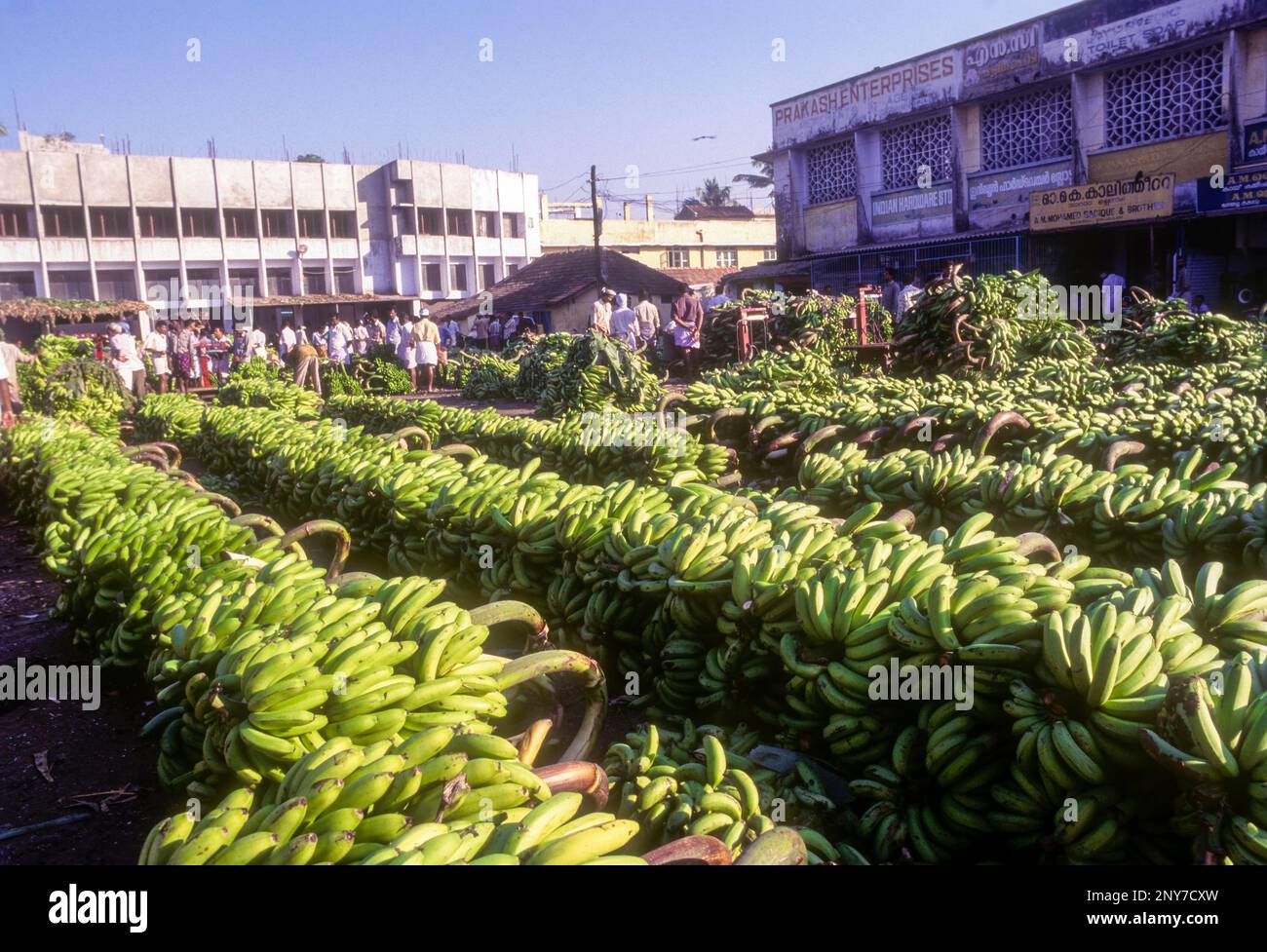 Banana market at Ernakulam, Kerala, South India, India, Asia Stock ...