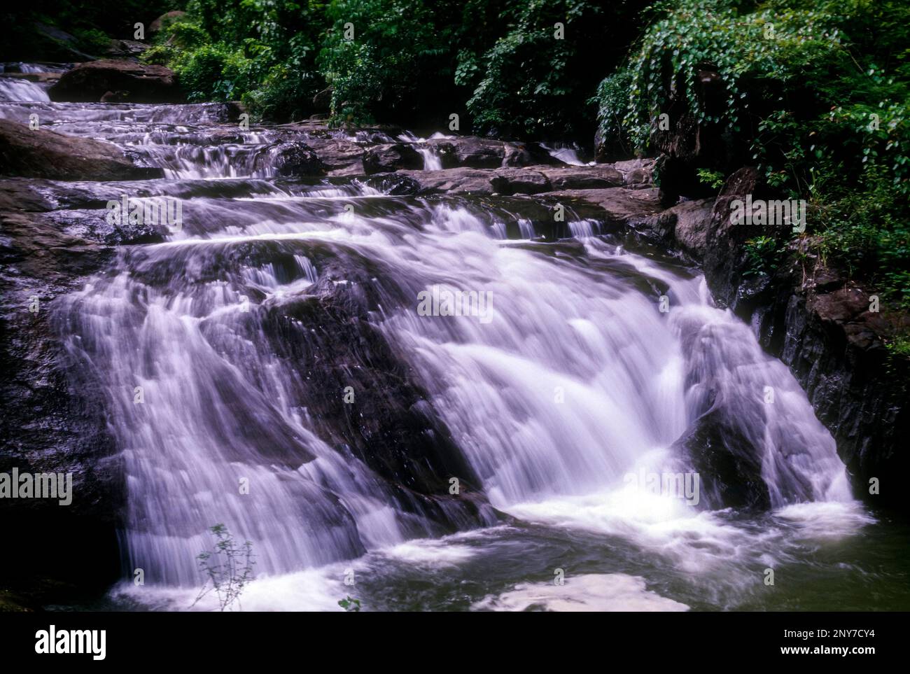 Palaruvi waterfalls at Ariankavu, Kerala, South India, India, Asia ...
