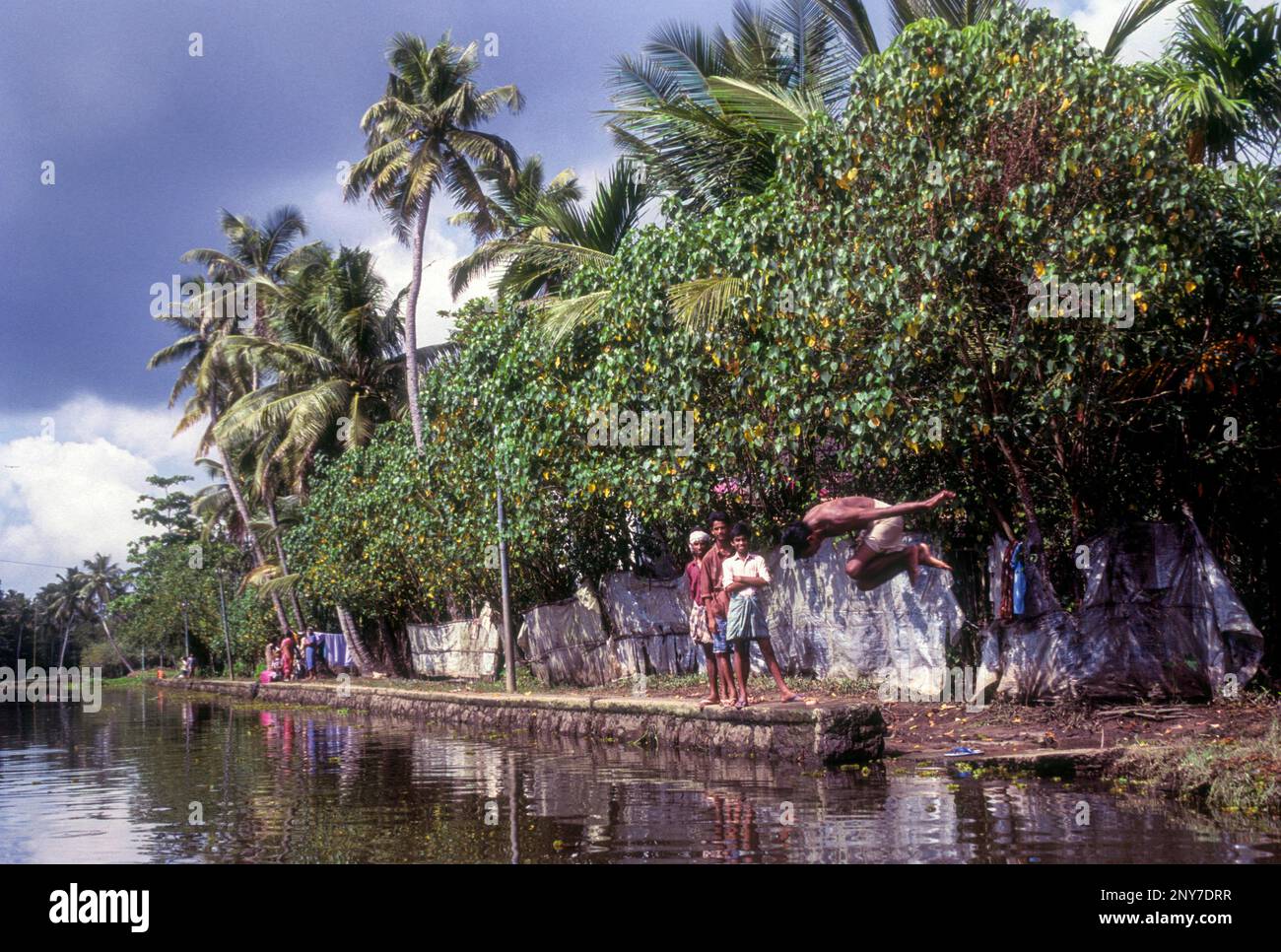 A boy diving Backwaters of Champakulam, Kerala, South India, India ...