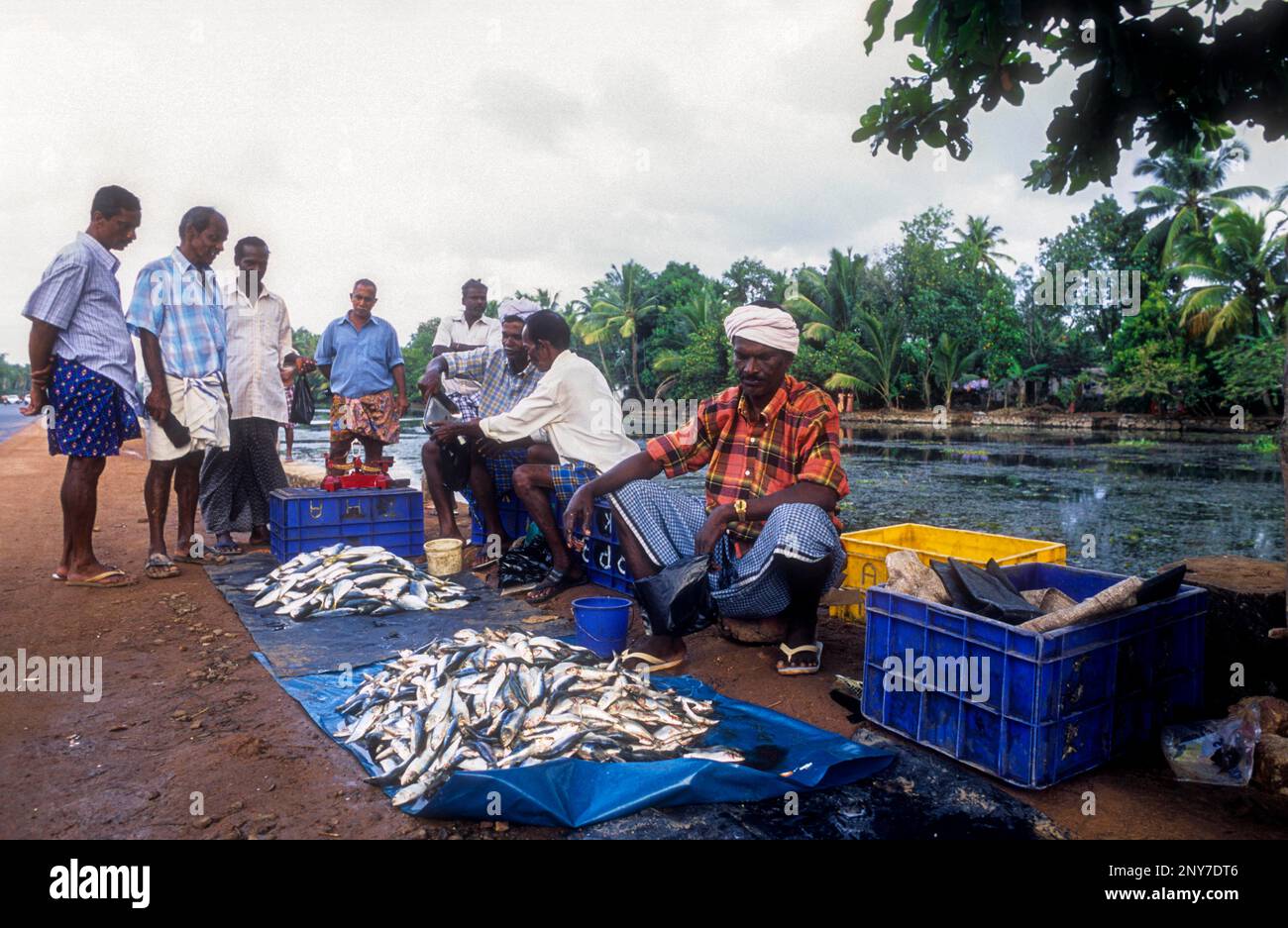 Fresh fish for sale, Backwaters of Kerala, South India, India, Asia ...