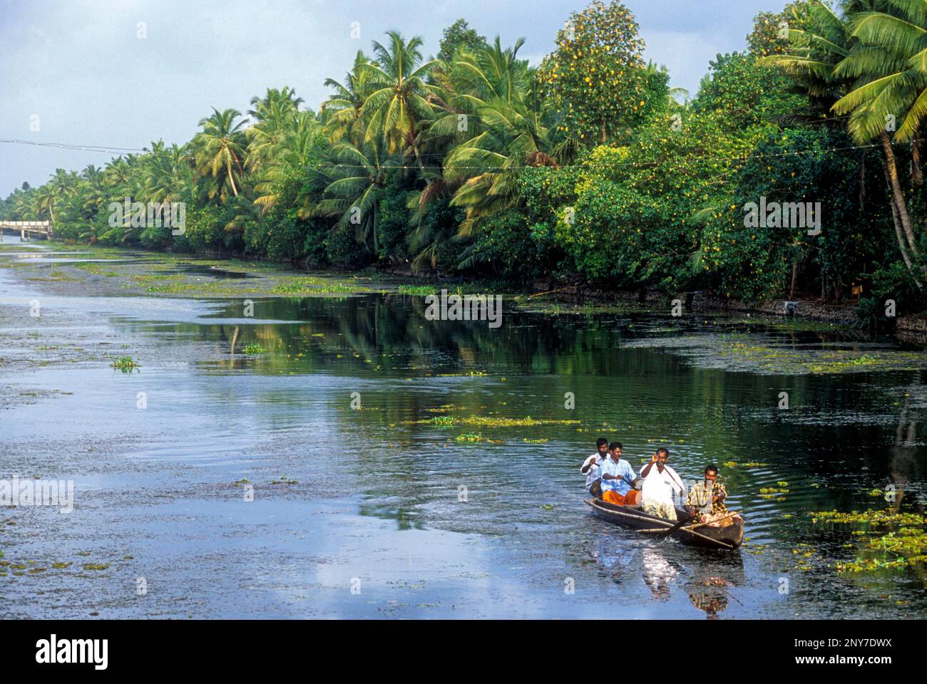 Backwaters of Kerala, South India, India, Asia Stock Photo - Alamy